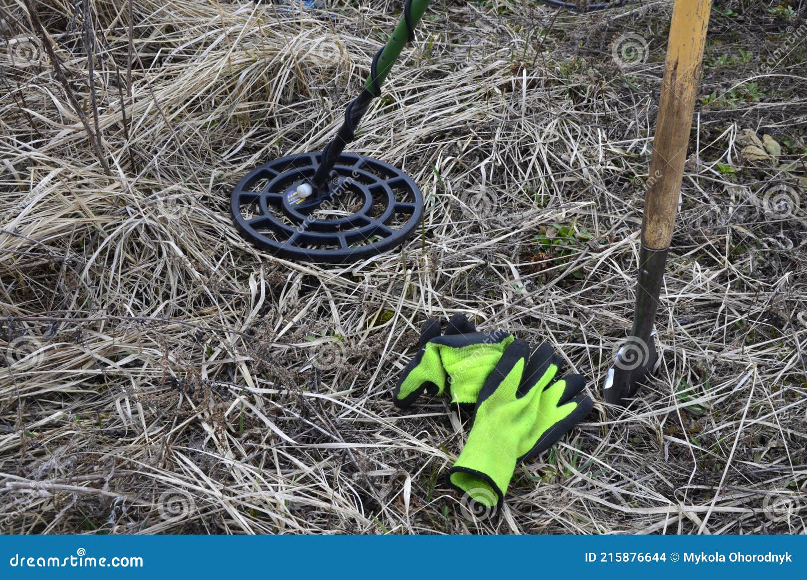 Metal Detector in the Field Ready To Work Editorial Stock Image - Image ...