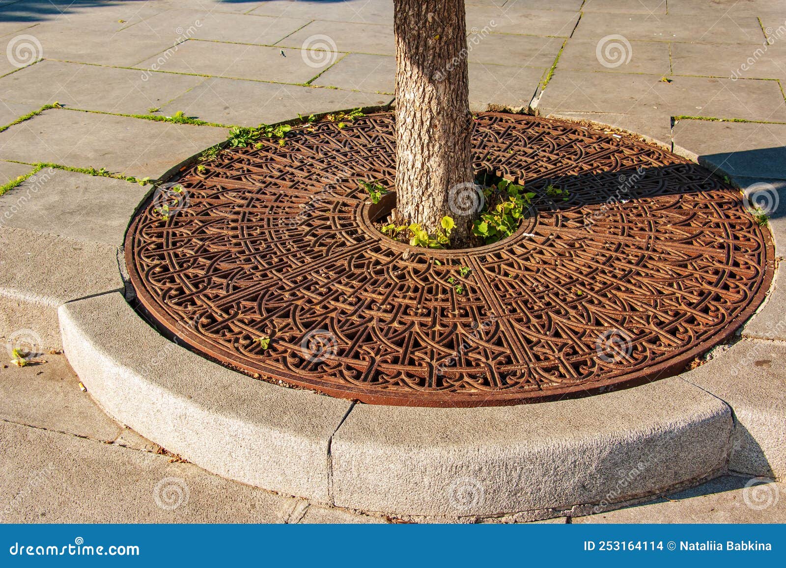 Metal Drainage Grate on the Sidewalk Around a Tree in Slovakia Stock ...