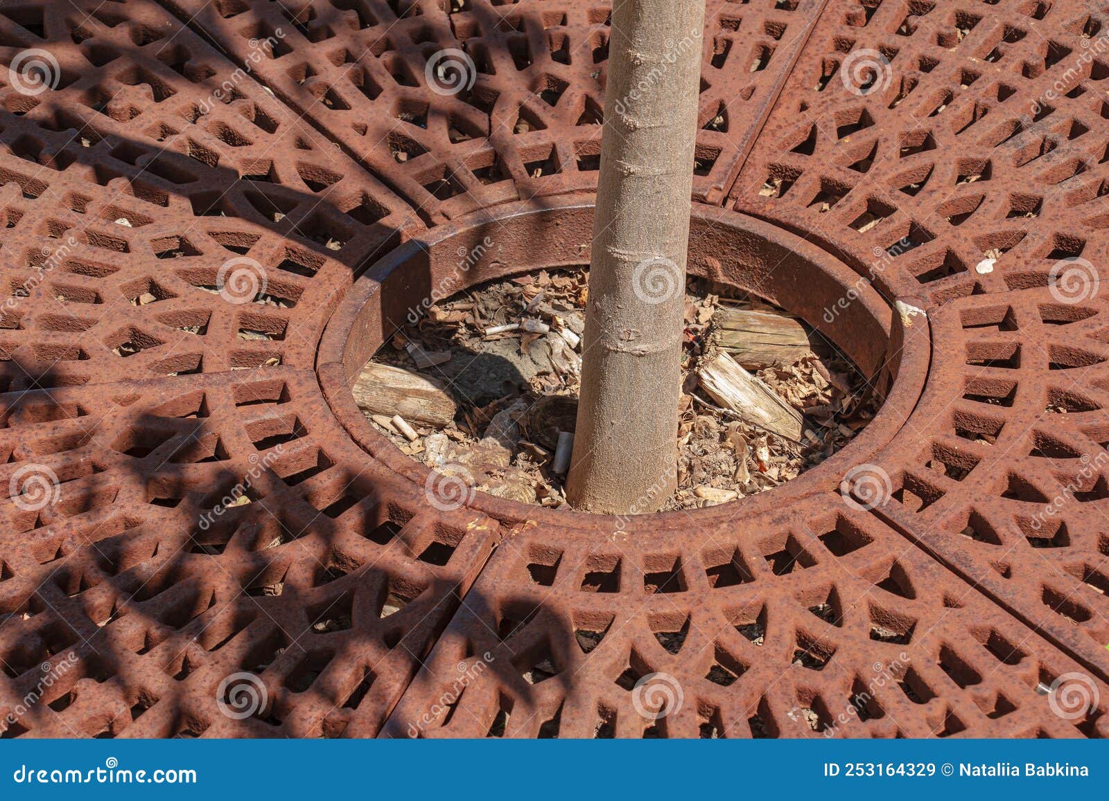 Metal Drainage Grate on the Sidewalk Around a Tree in Slovakia Stock ...