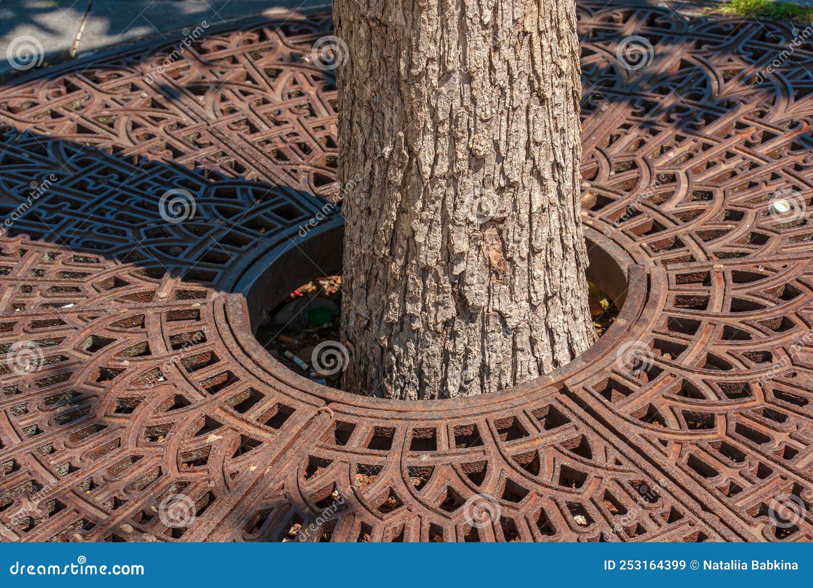Metal Drainage Grate on the Sidewalk Around a Tree in Slovakia Stock ...