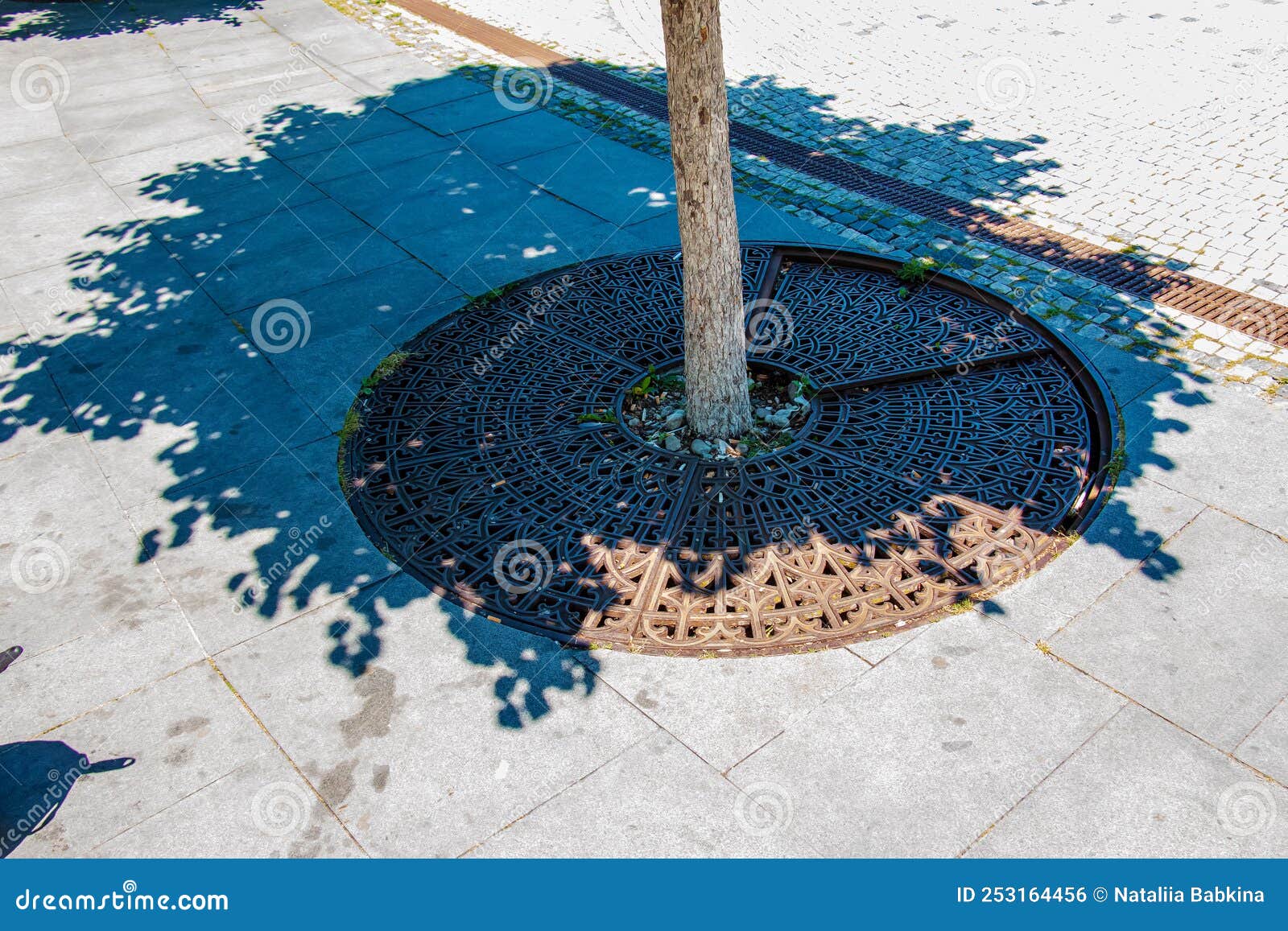 Metal Drainage Grate on the Sidewalk Around a Tree in Slovakia Stock ...