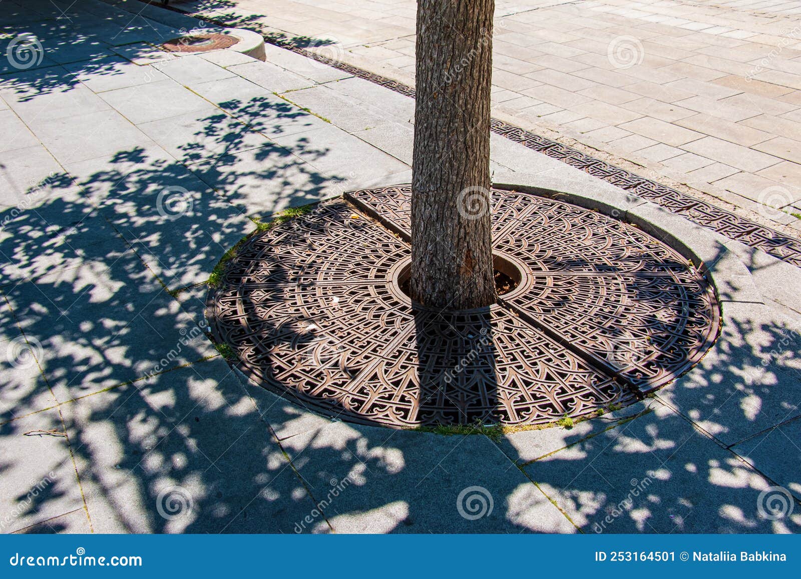 Metal Drainage Grate on the Sidewalk Around a Tree in Slovakia Stock ...