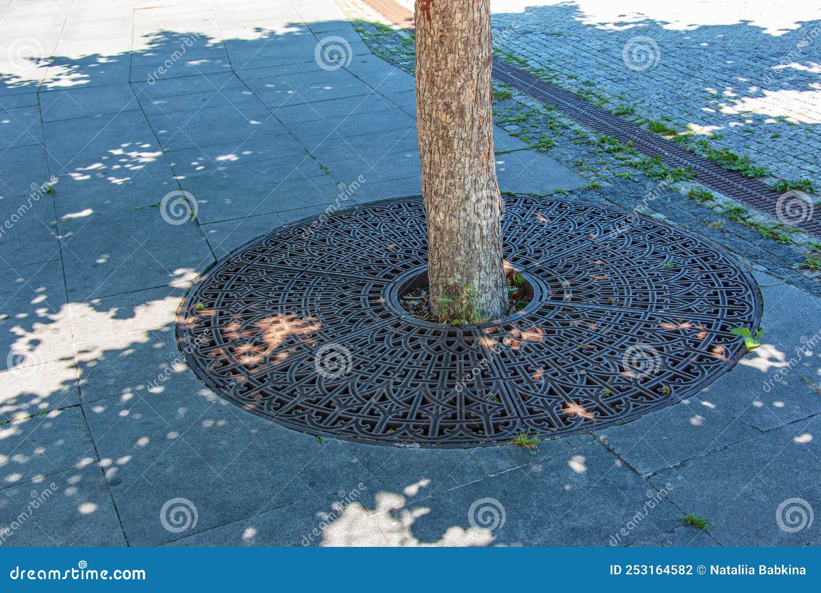 Metal Drainage Grate on the Sidewalk Around a Tree in Slovakia Stock ...