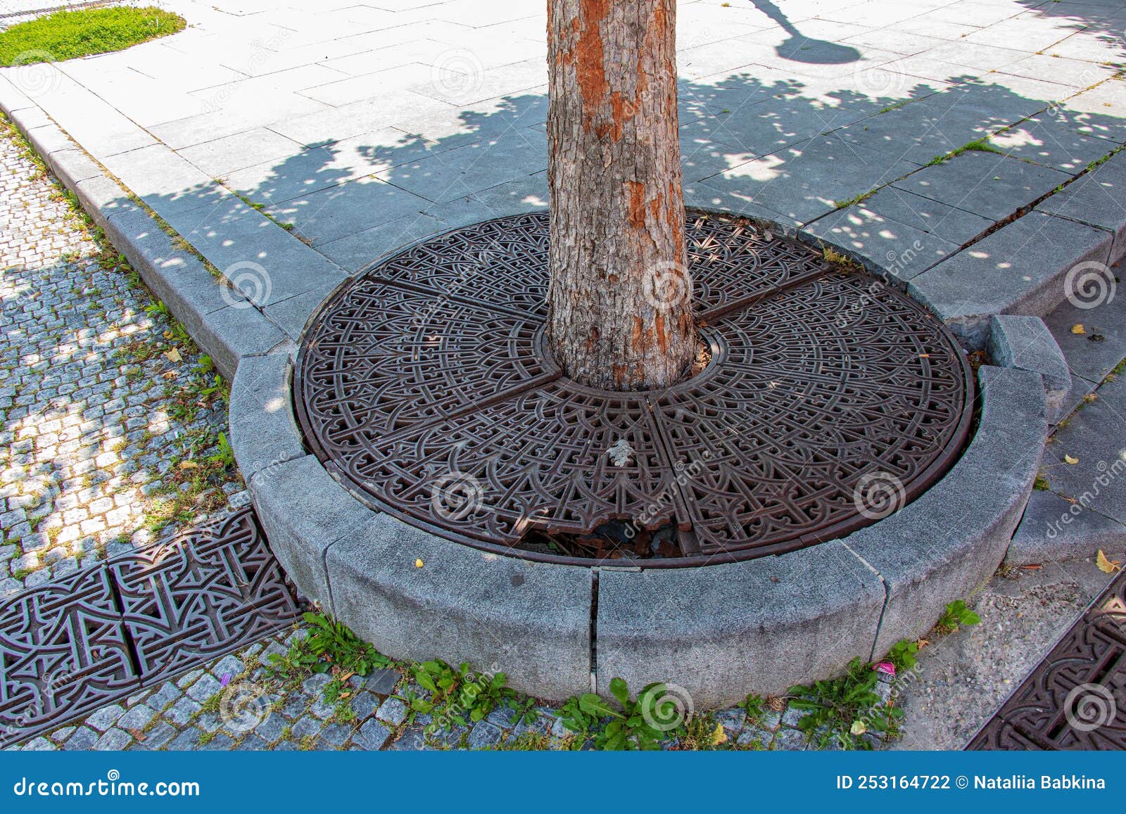 Metal Drainage Grate on the Sidewalk Around a Tree in Slovakia Stock ...
