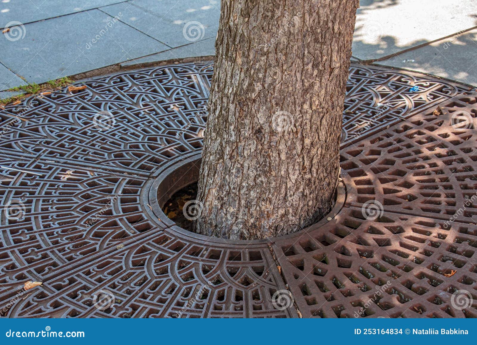 Metal Drainage Grate on the Sidewalk Around a Tree in Slovakia Stock ...