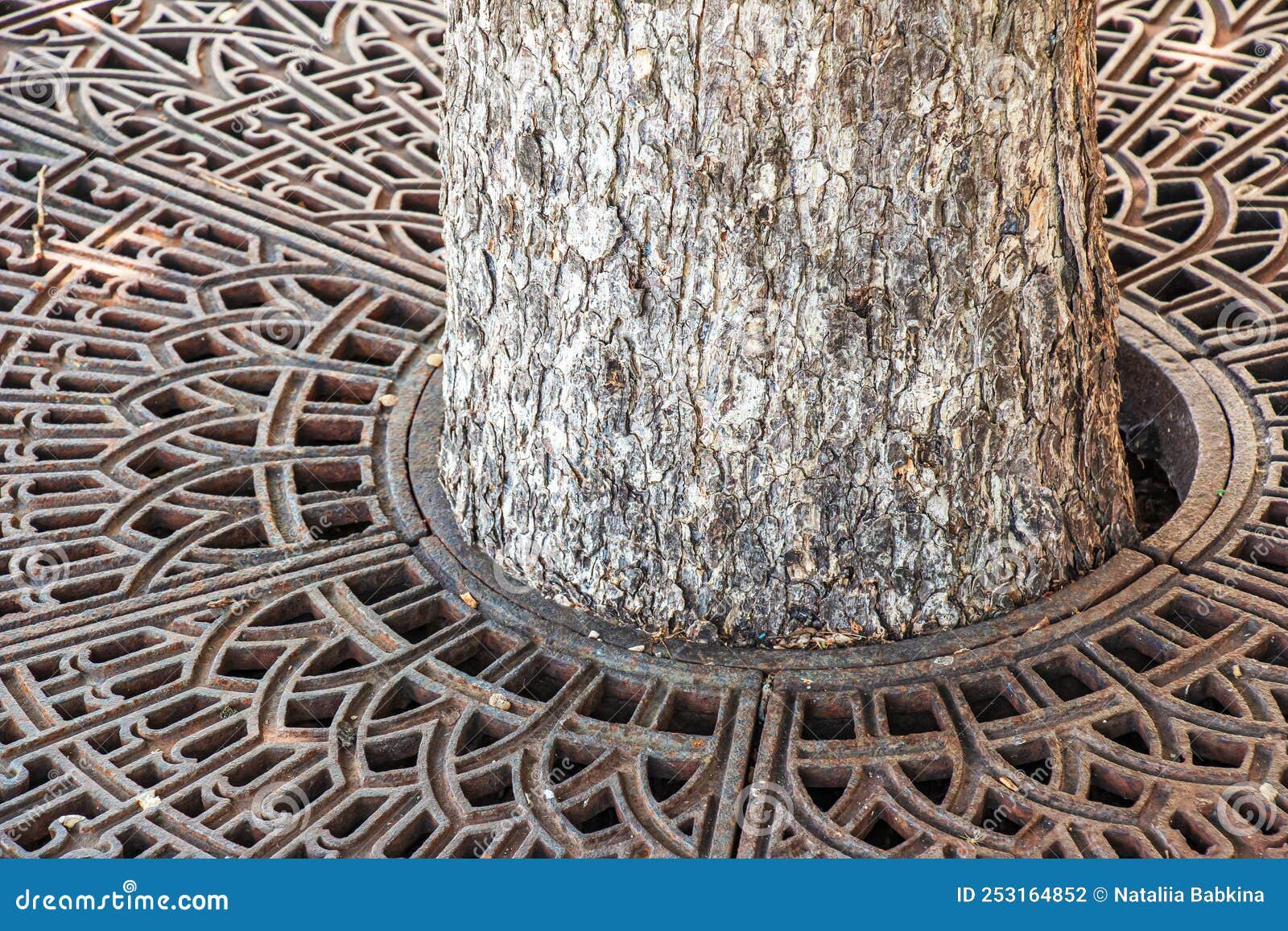 Metal Drainage Grate on the Sidewalk Around a Tree in Slovakia Stock ...