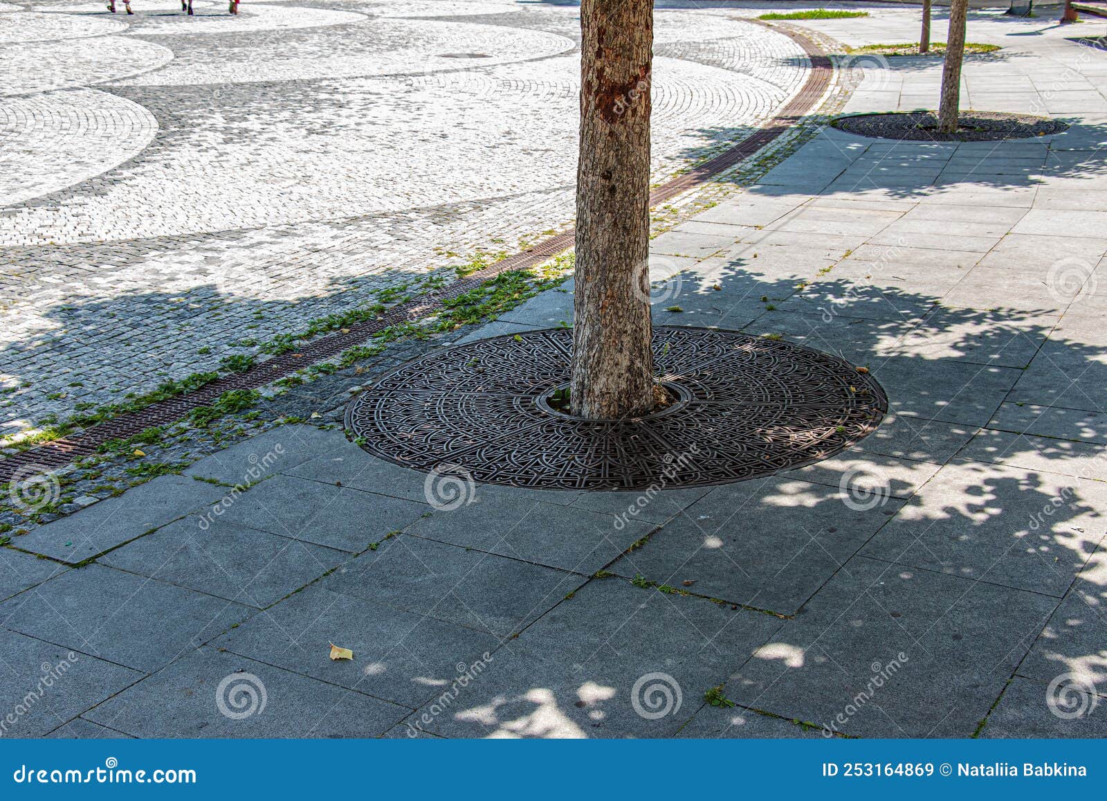 Metal Drainage Grate on the Sidewalk Around a Tree in Slovakia Stock ...