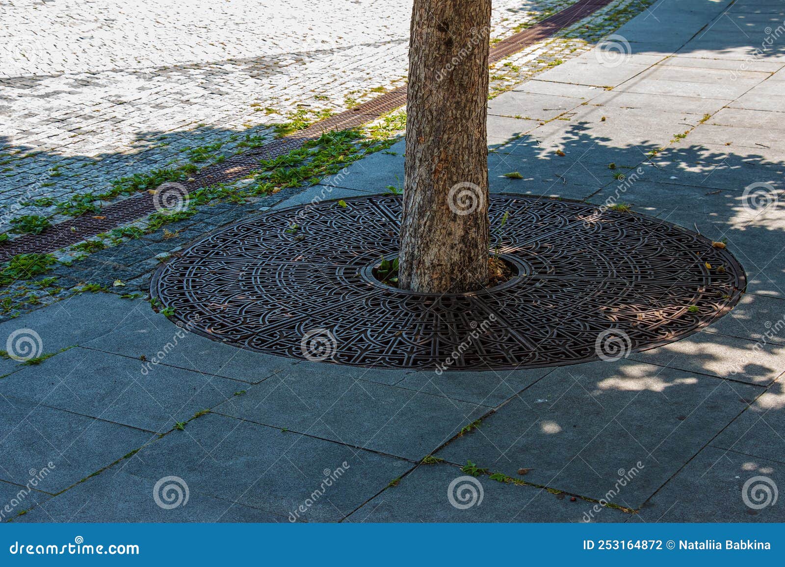 Metal Drainage Grate on the Sidewalk Around a Tree in Slovakia Stock ...