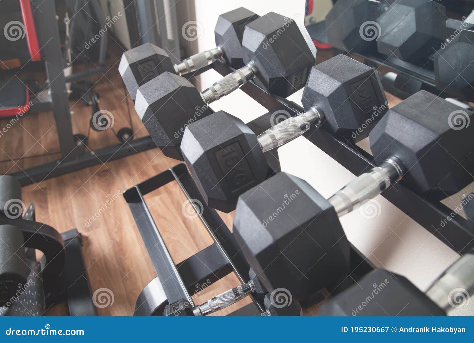 Metal Dumbbells for Strength Training in Gym Stock Image - Image of ...