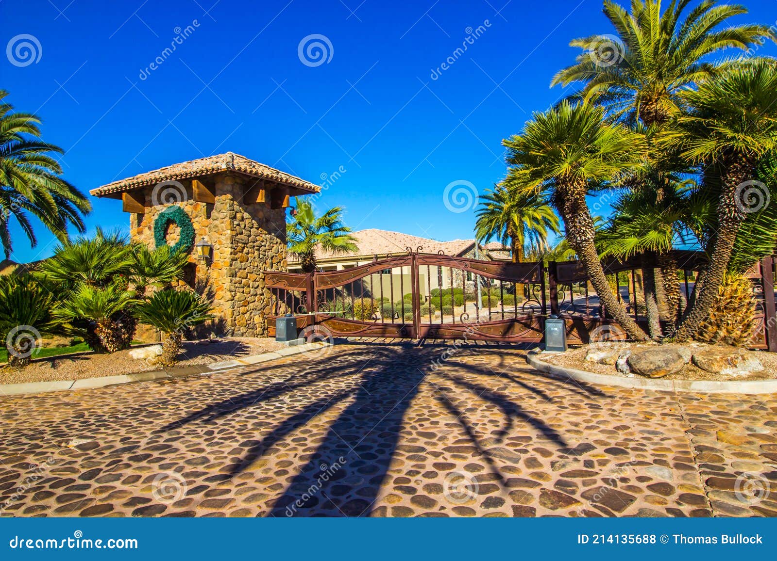 Metal Exit Gate with Variety of Palm Trees Stock Photo - Image of ...