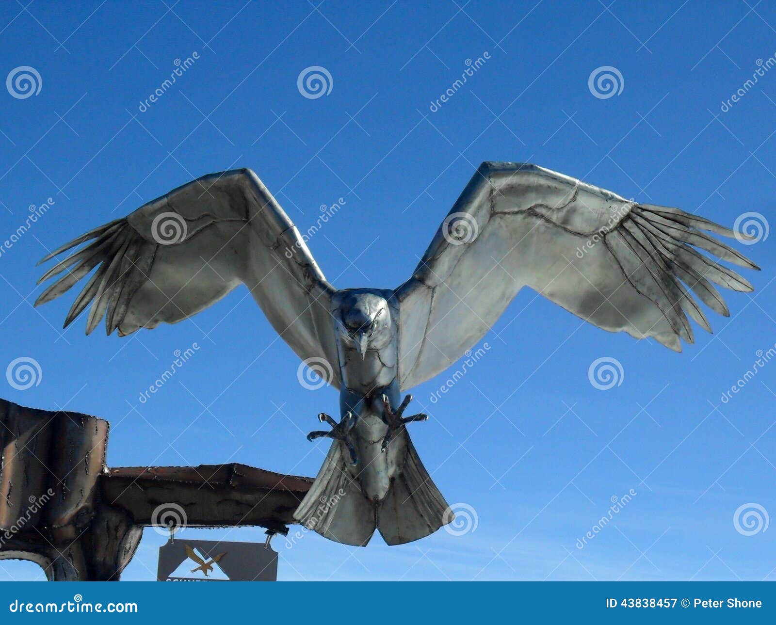 Metal falcon stock image. Image of bird, diving, wings - 43838457