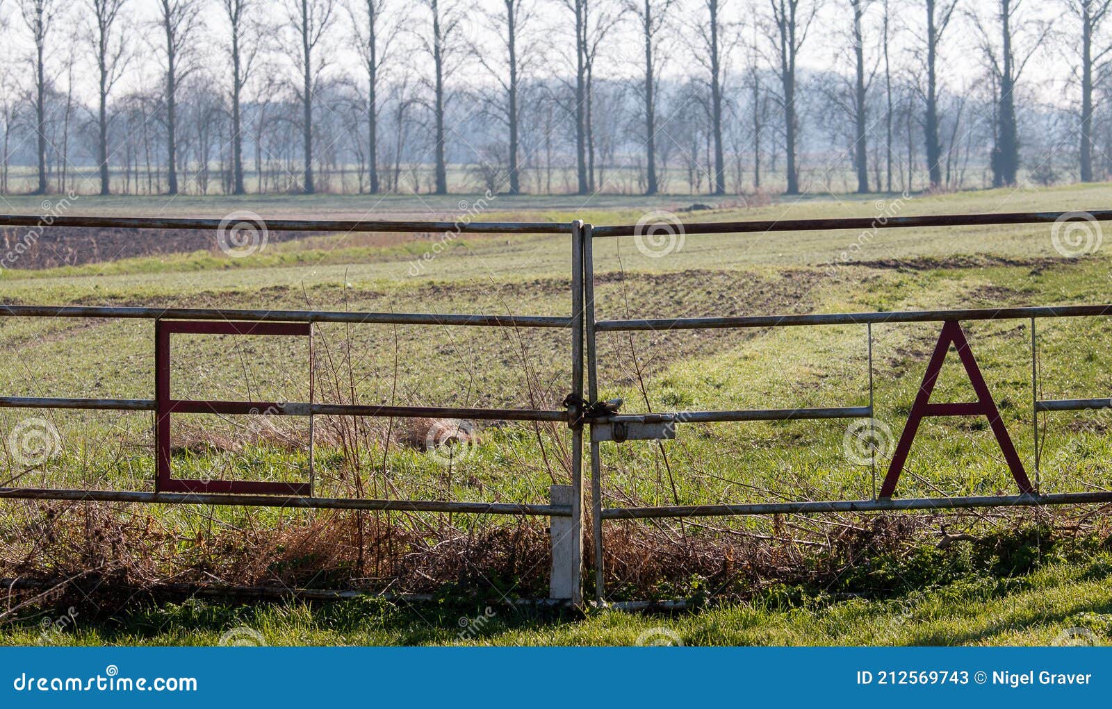 Metal Farm Gates with Letters a and E Built into the Gates Stock Image ...