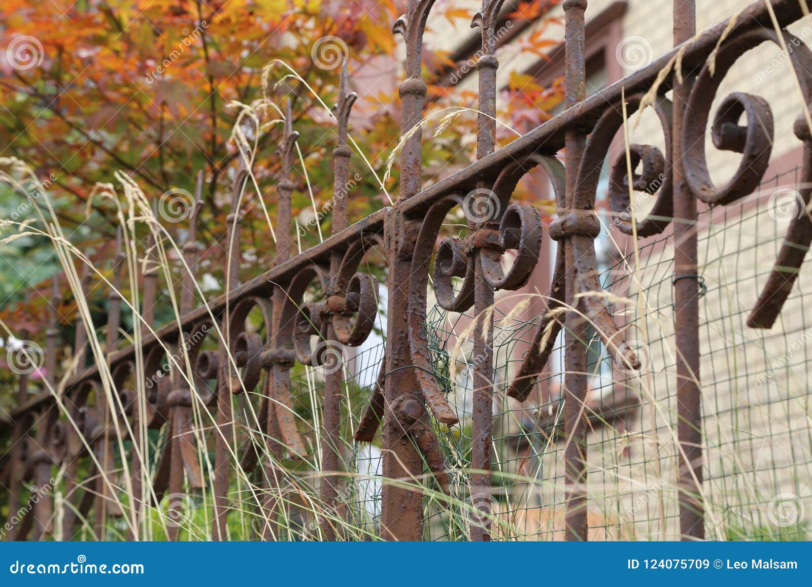 Metal Curly Fence in the Park Stock Image - Image of steel, ornate ...