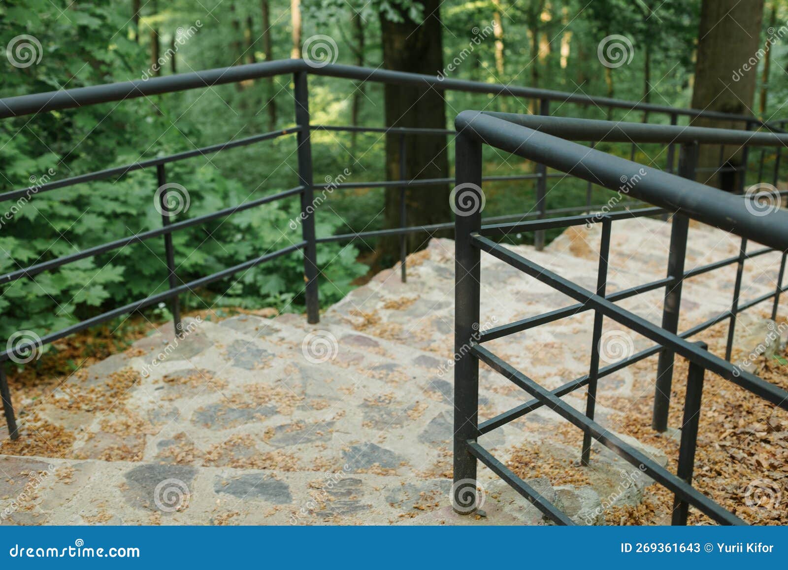 A Metal Fence in the Middle of the Forest on a Path Stock Image - Image ...