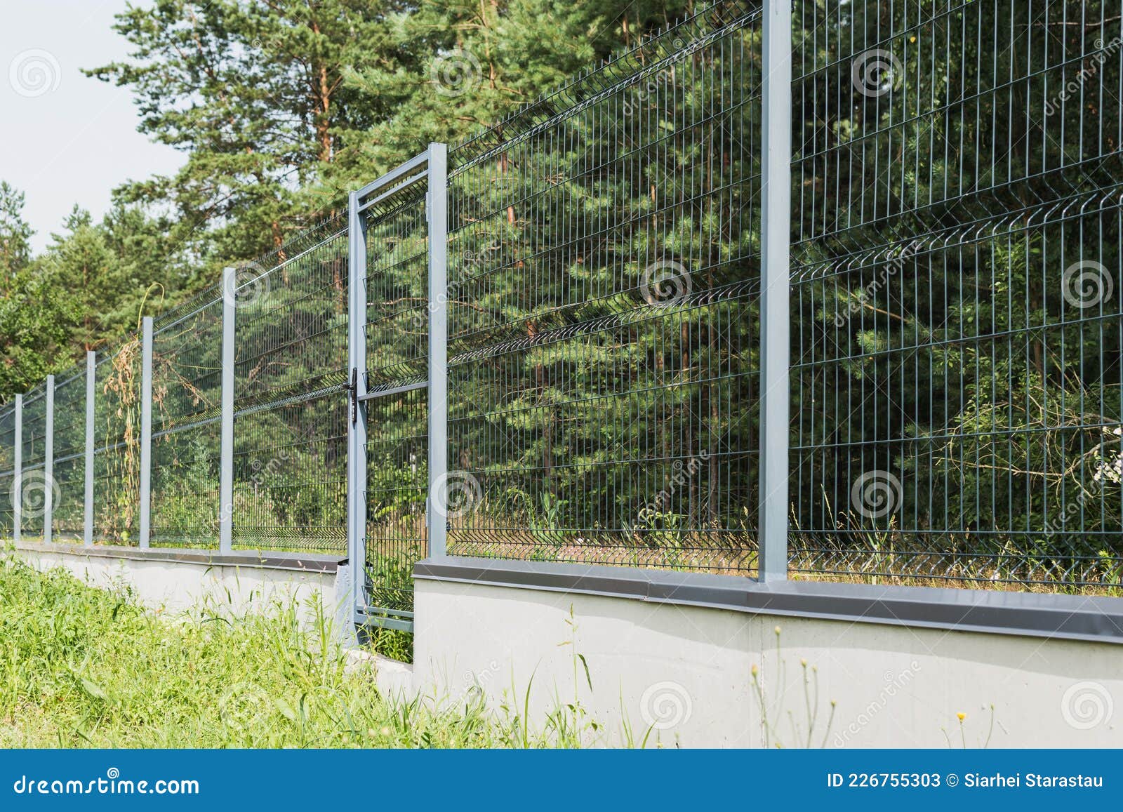Metal Fence Near the Forest Stock Image - Image of door, barrier: 226755303