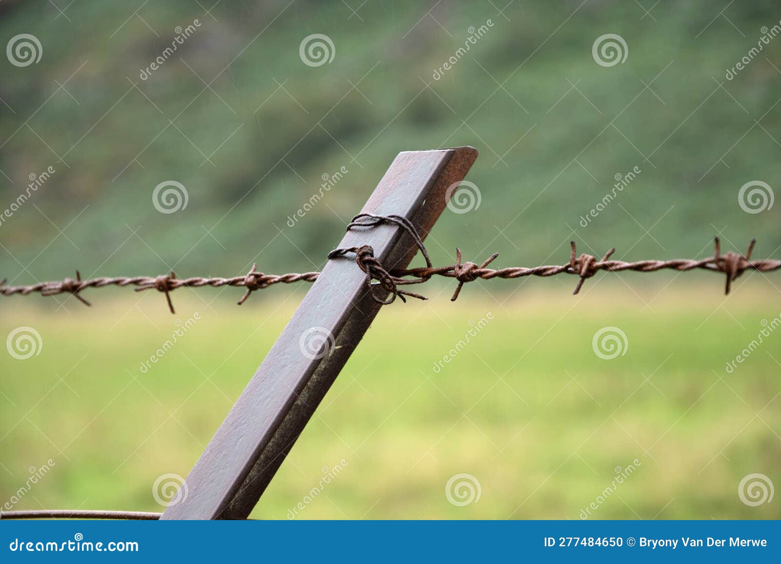 Metal Fence Post with Barbed Wire Stock Photo - Image of security ...