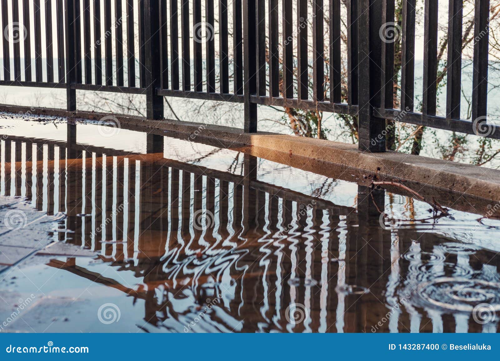 Metal fence stock photo. Image of outdoors, puddle, pavement - 143287400