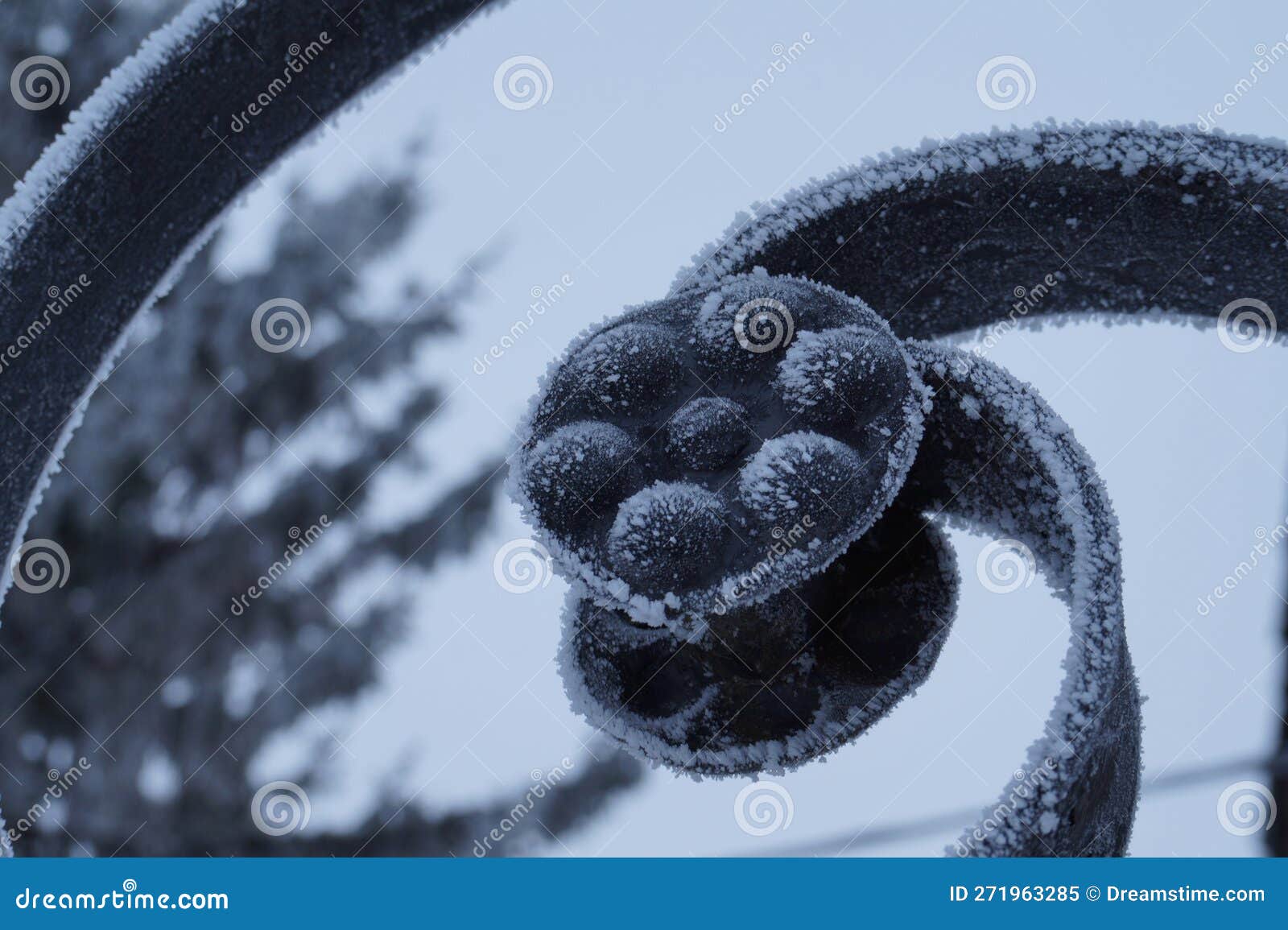 Metal fence in the snow stock image. Image of detail - 271963285