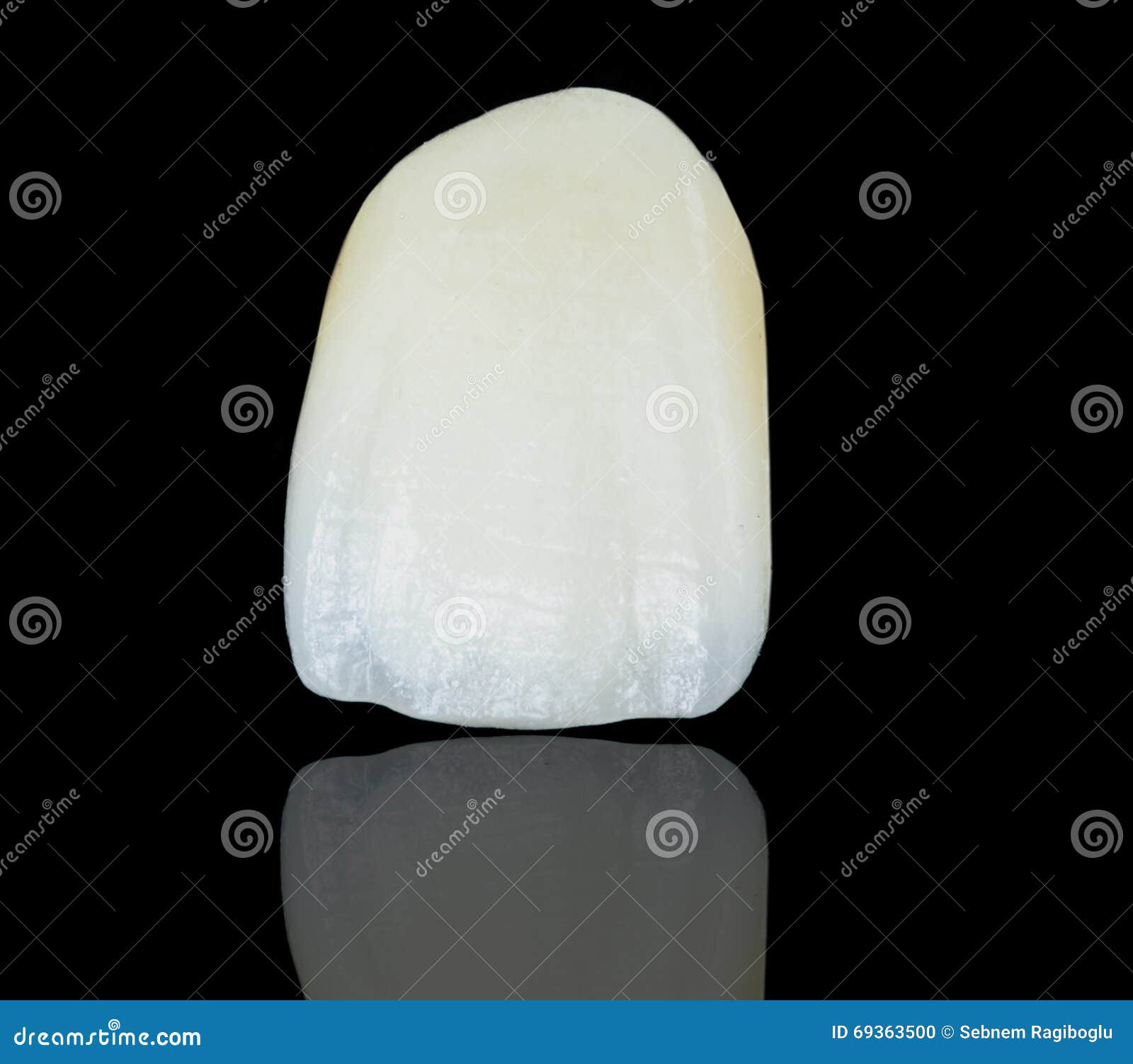 Set Of Dental Crowns Model Made Of Ceramic For Studying Morphology And ...