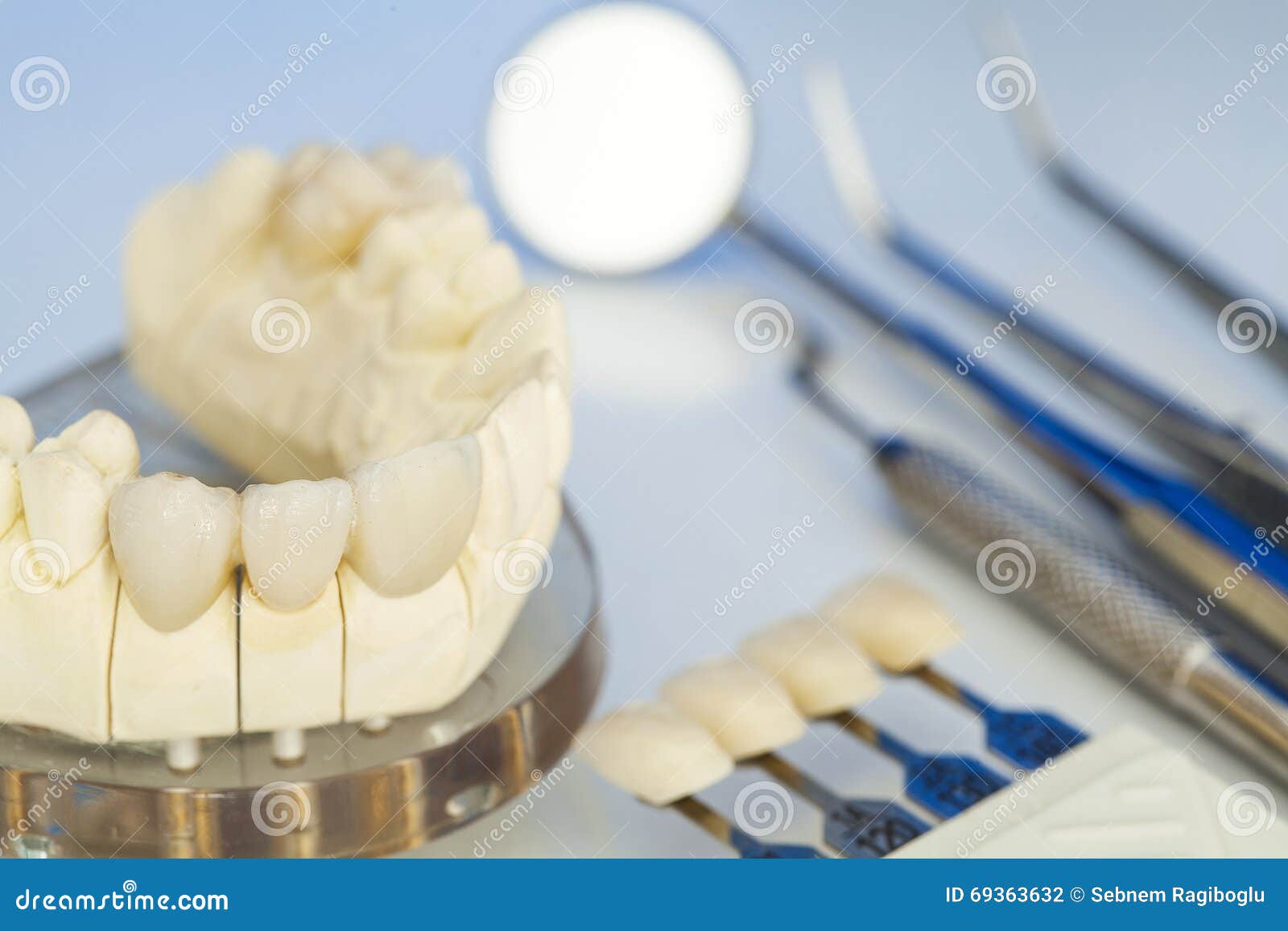 Set Of Dental Crowns Model Made Of Ceramic For Studying Morphology And ...