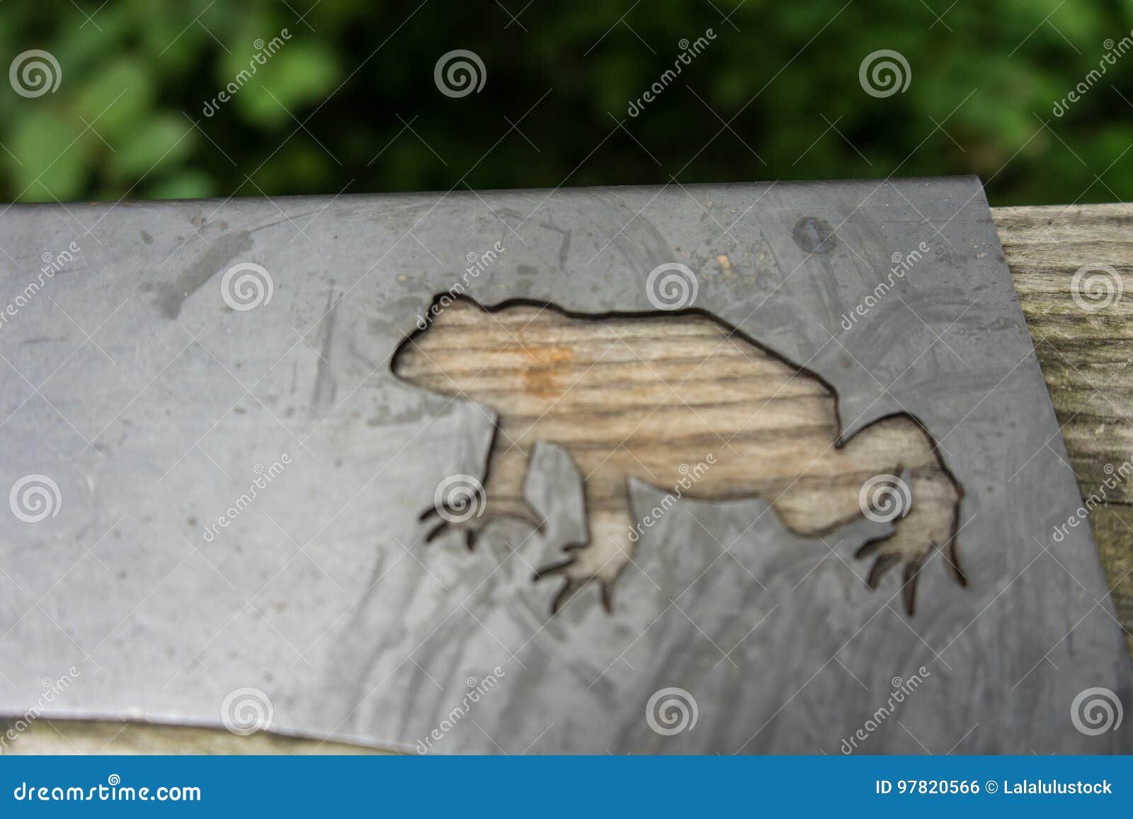Metal Frog Sculpture On Wood Rail Editorial Image | CartoonDealer.com ...