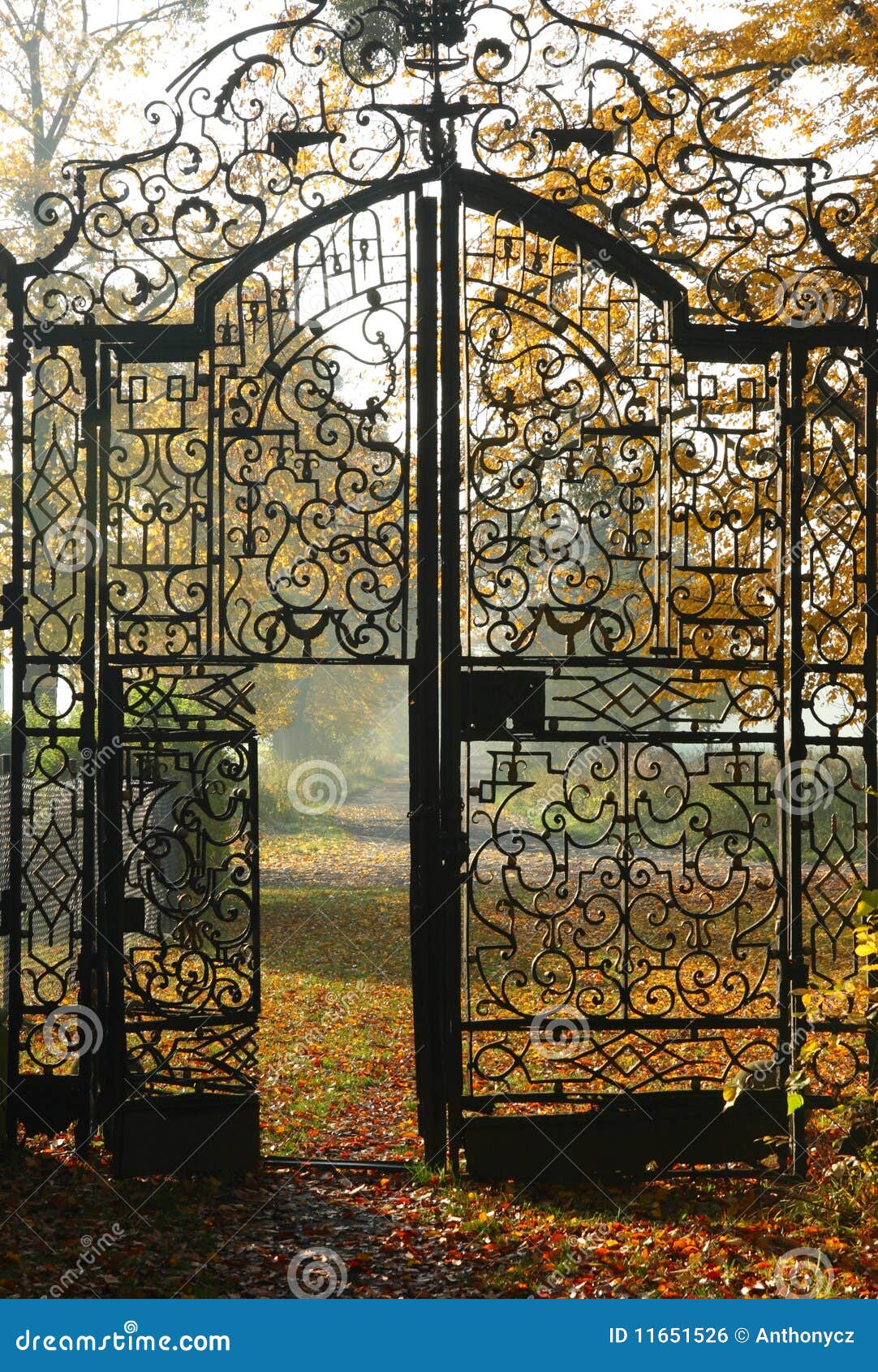 Metal gate stock photo. Image of rural, barrier, gate - 11651526