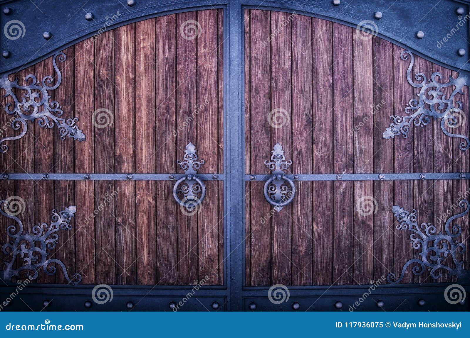 Metal Gate with Elements of Forging and Wooden Inserts of Dark Brown ...