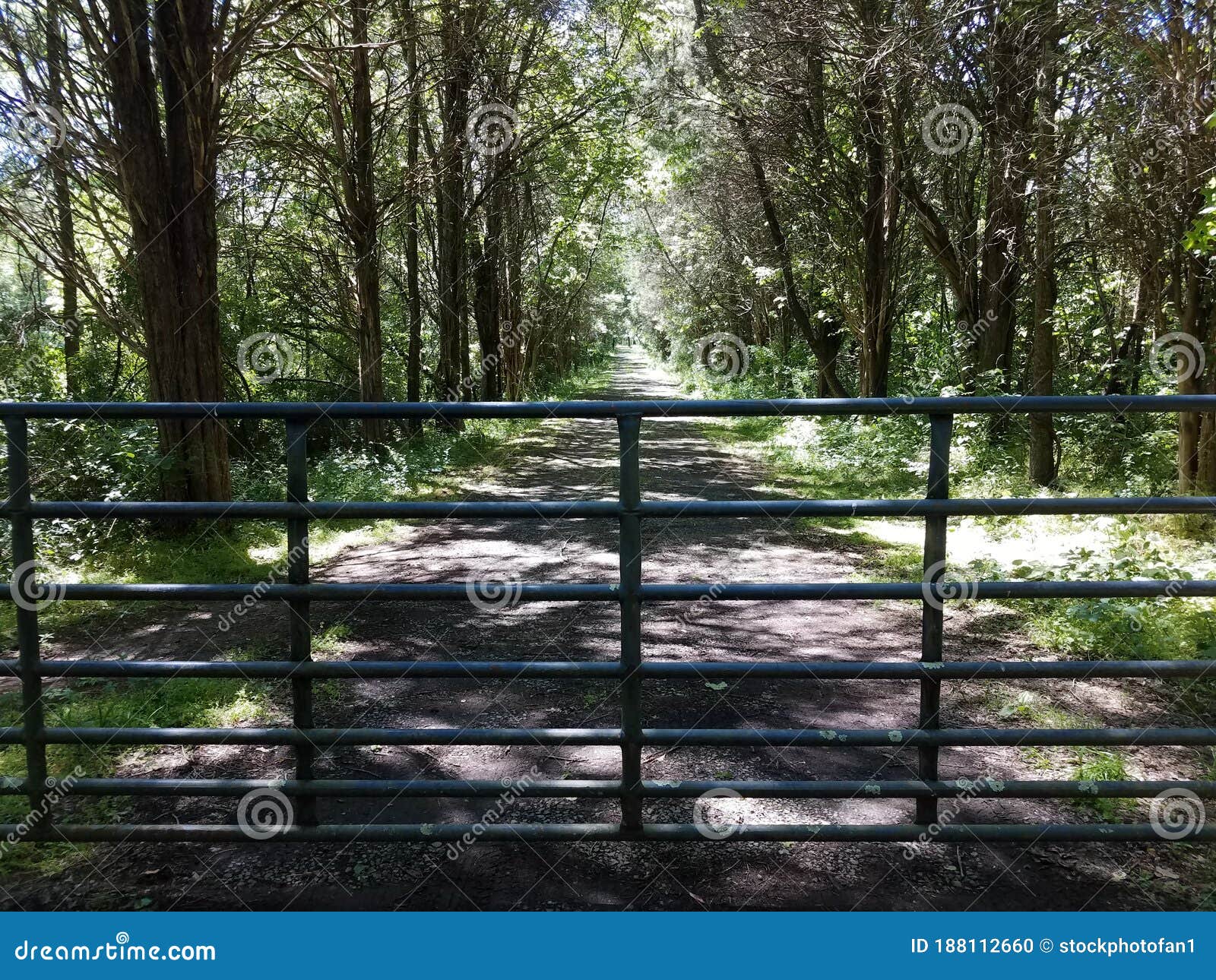 Metal Gate and Path or Trail and Trees Stock Photo - Image of road ...