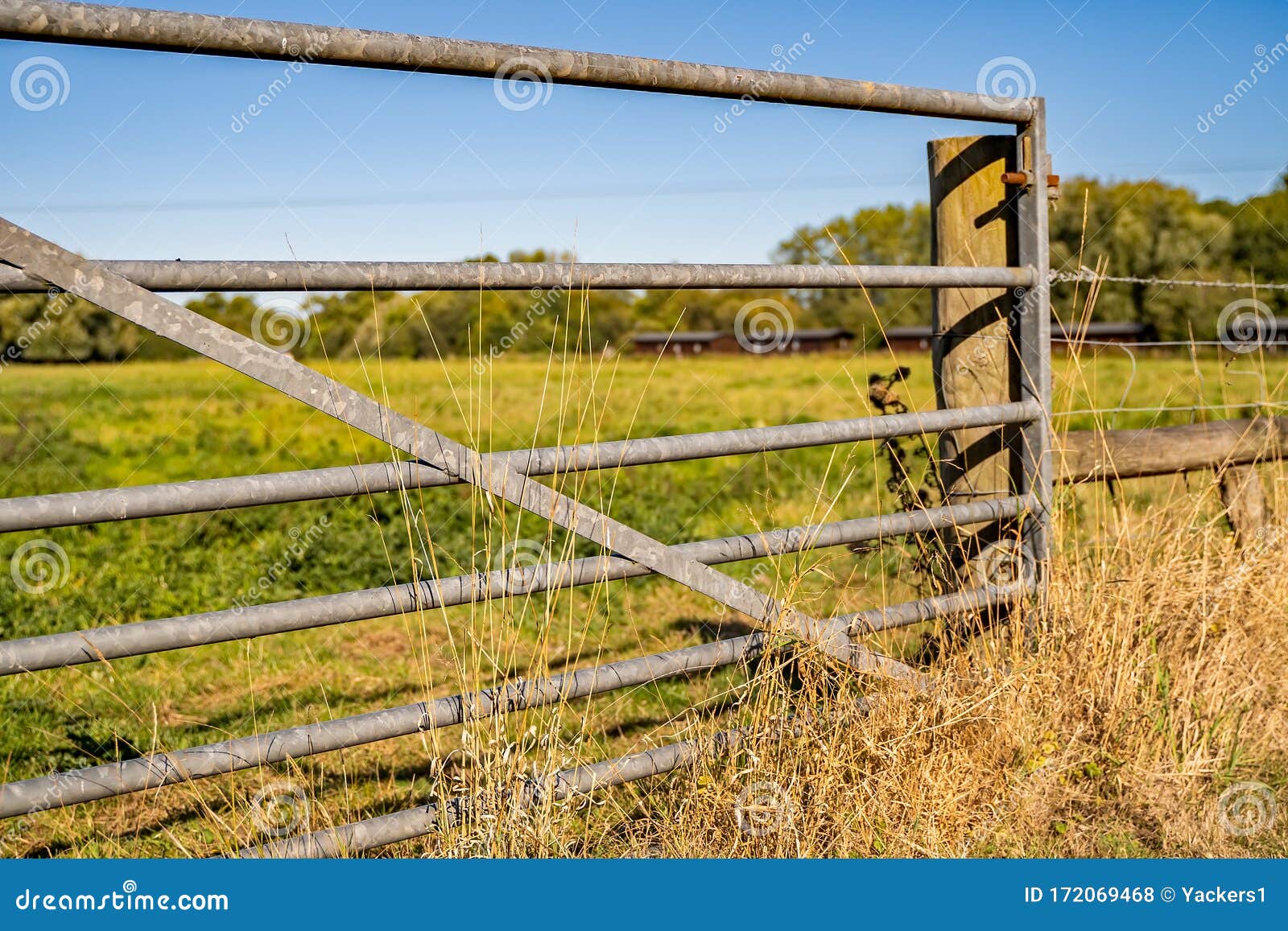 Close Up of Metal Gate Across Field Entrance in the Countryside Stock ...