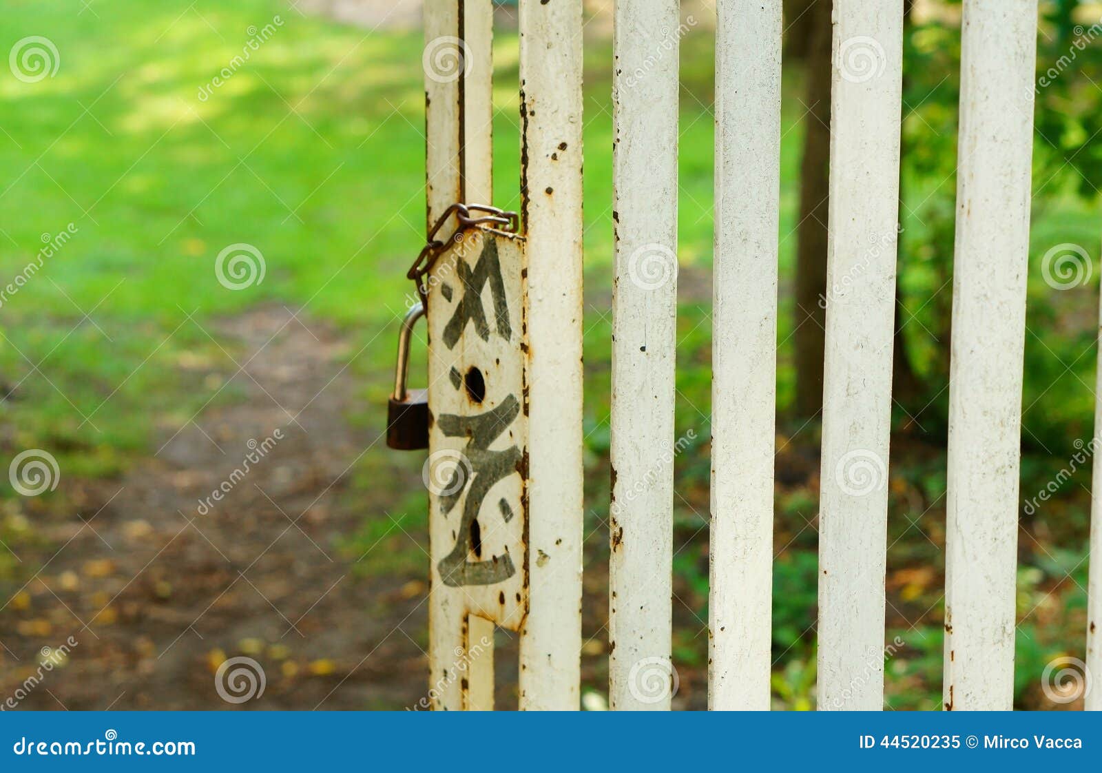 Metal gate stock image. Image of grass, green, outdoor - 44520235