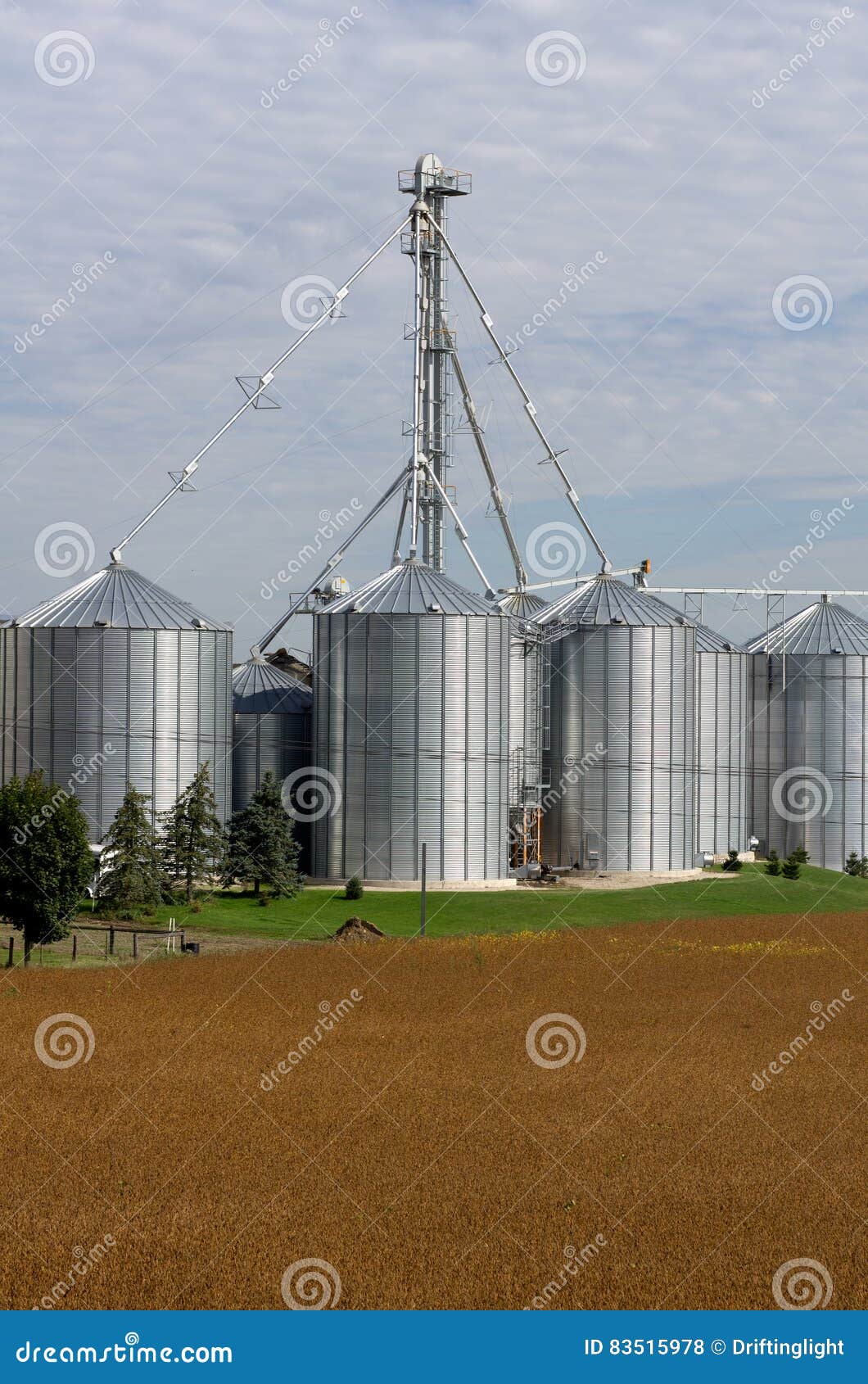 A Metal Grain Facility with Silos Stock Photo - Image of granary, mill ...