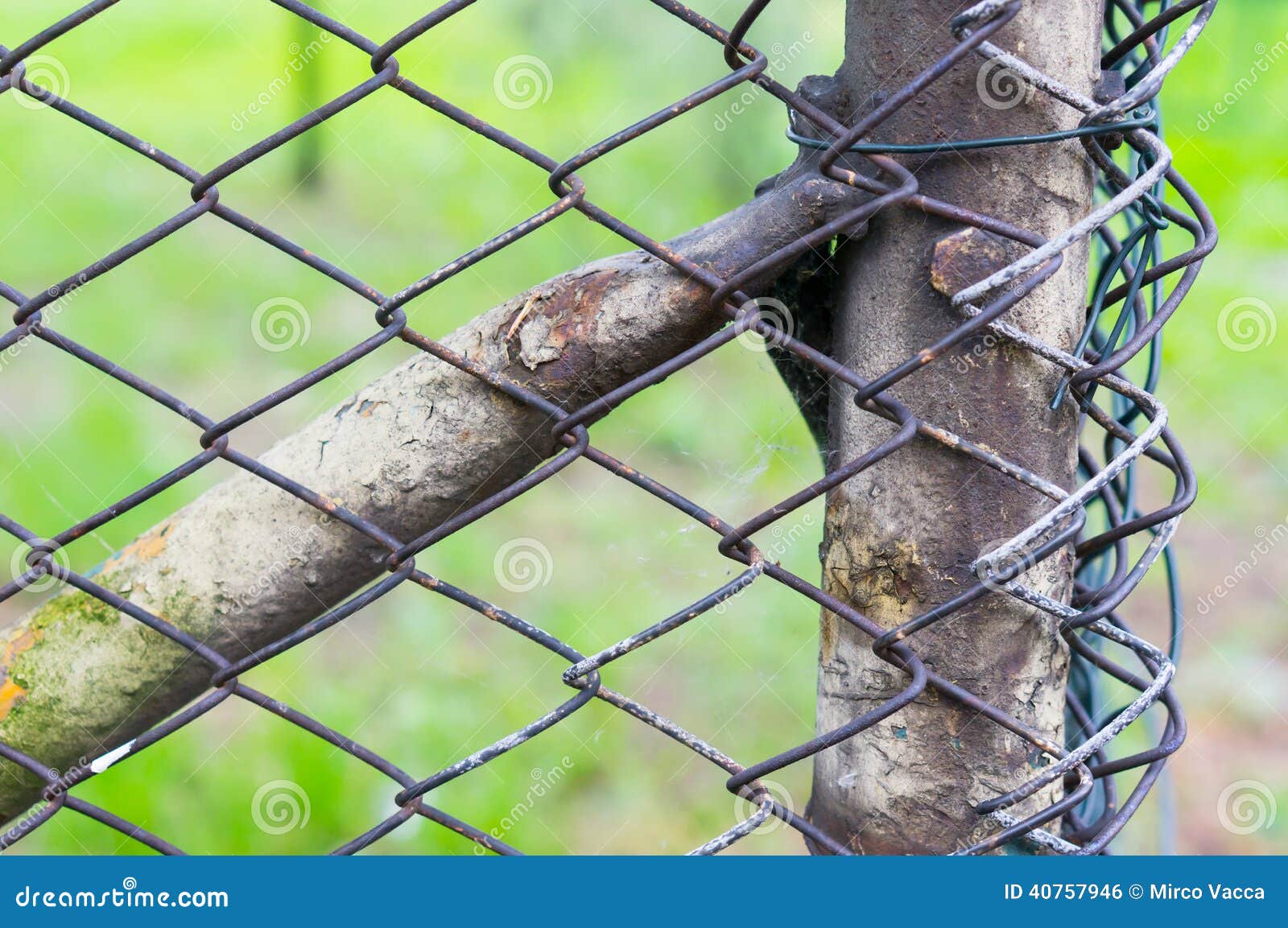 Metal grid fence stock photo. Image of safe, secure, pole - 40757946
