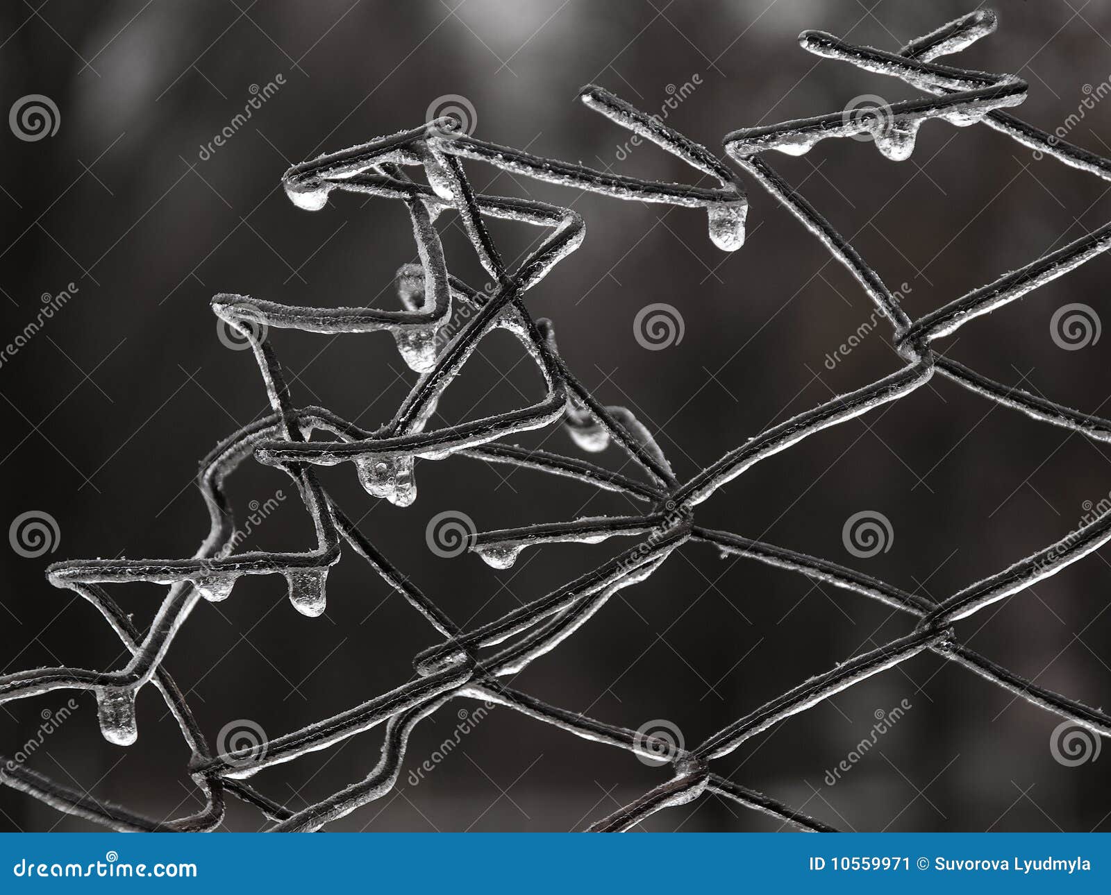 Metal grid in ice stock image. Image of frozen, winter - 10559971
