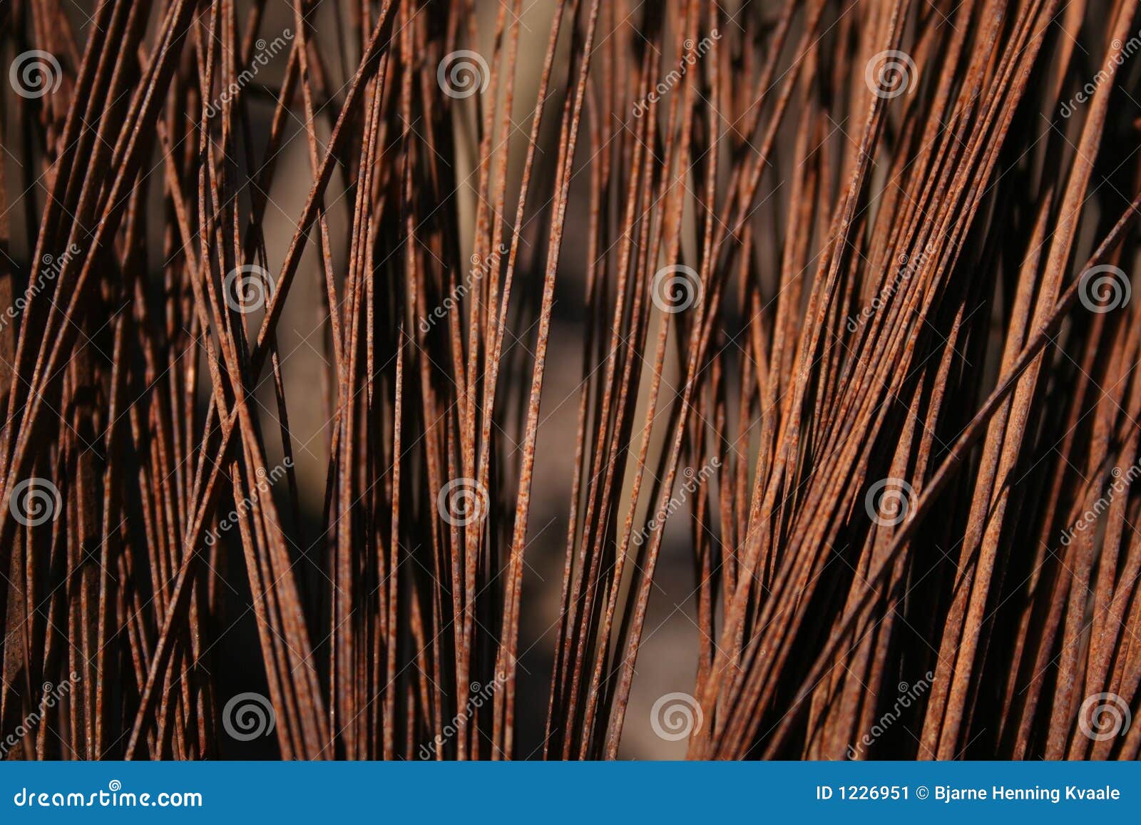 Metal hairs stock image. Image of texture, brush, oxidation - 1226951