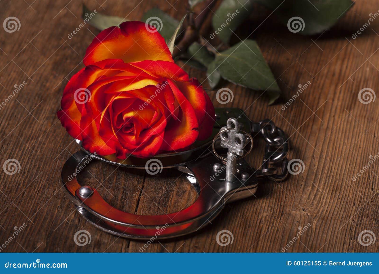Metal hand cuffs stock image. Image of rose, black, fetish - 60125155