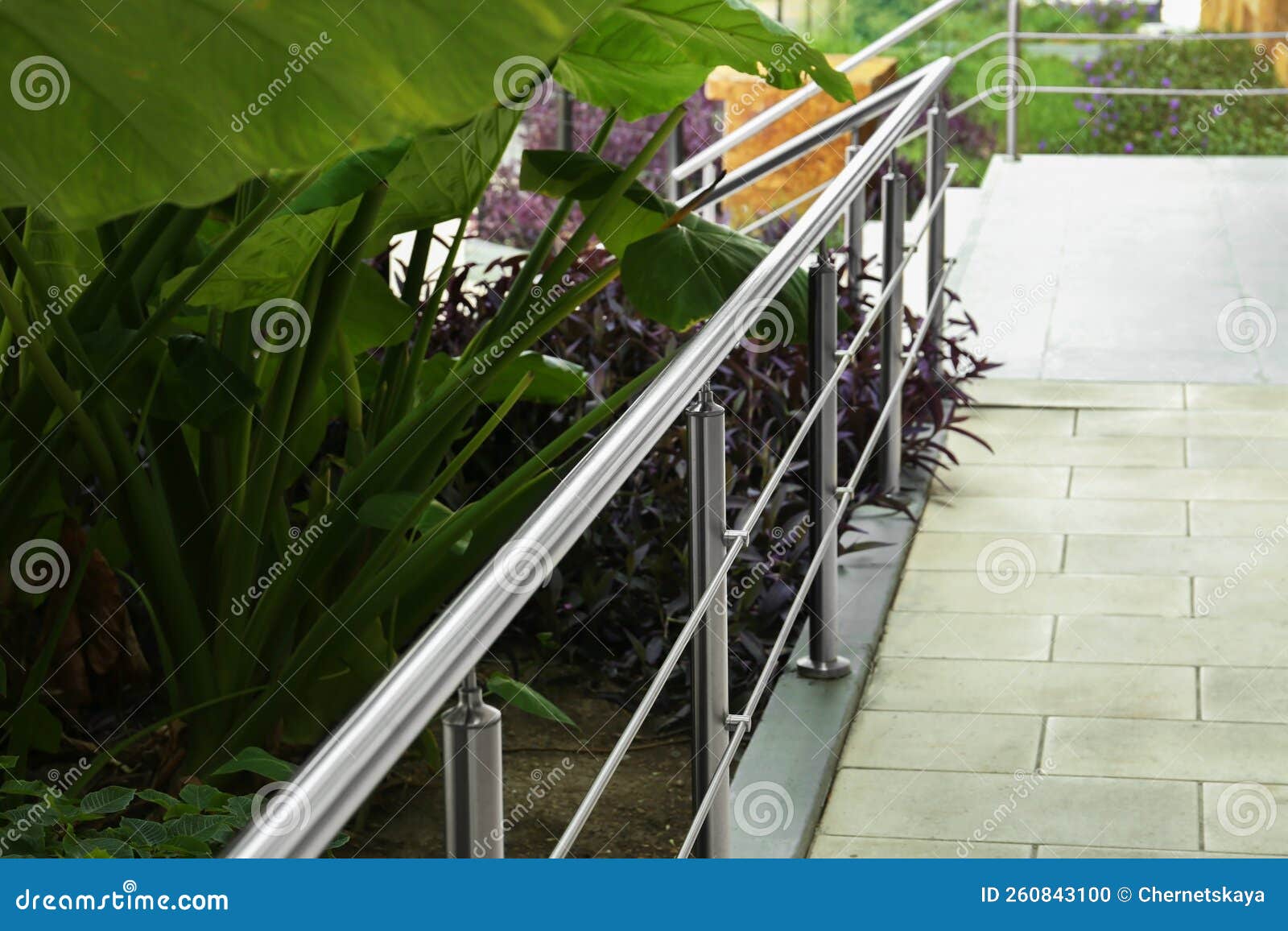 Metal Handrail and Plants Growing Outdoors. Exterior Design Stock Photo ...