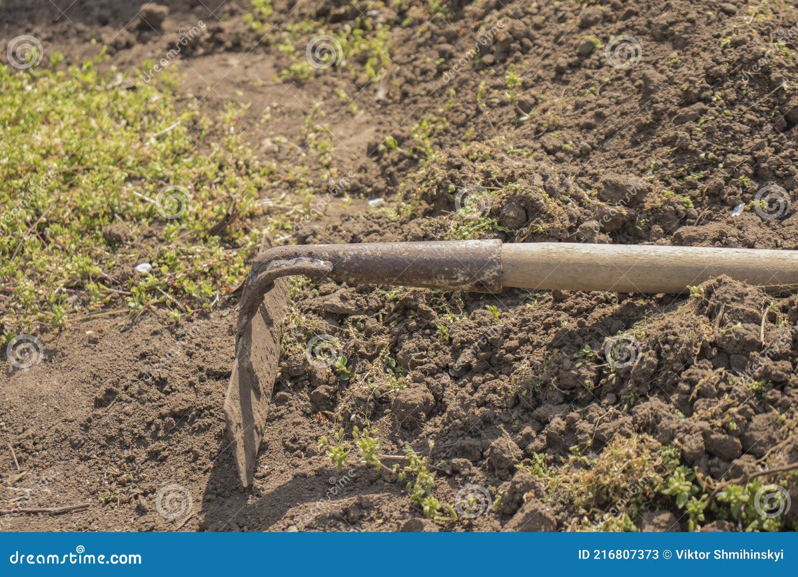 Metal hoe stock image. Image of nature, ground, farming - 216807373
