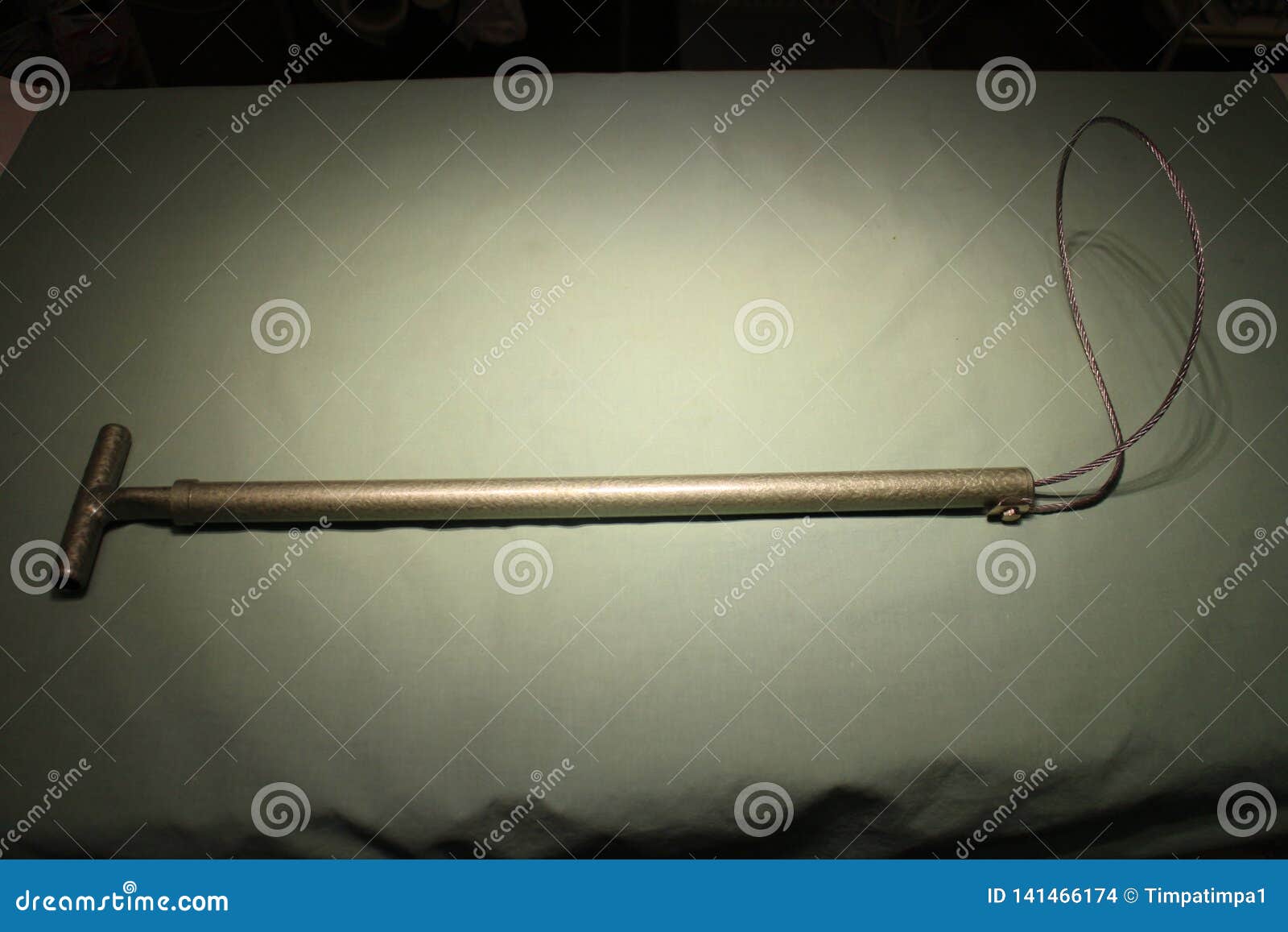 Immobilization Loop for Pigs Stock Photo - Image of fixing ...