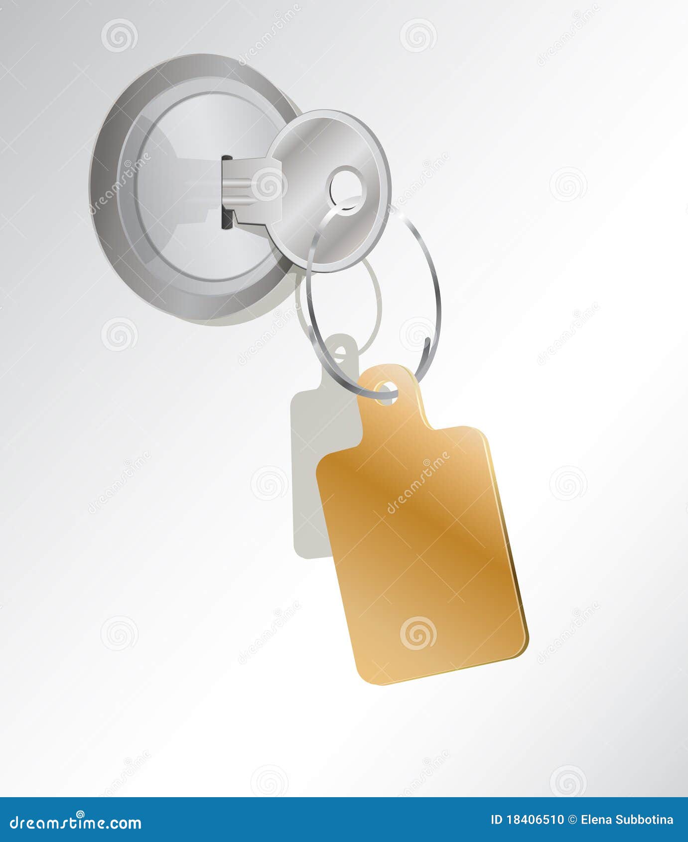 A Metal Key with an Empty Tag Stock Vector - Illustration of closing ...