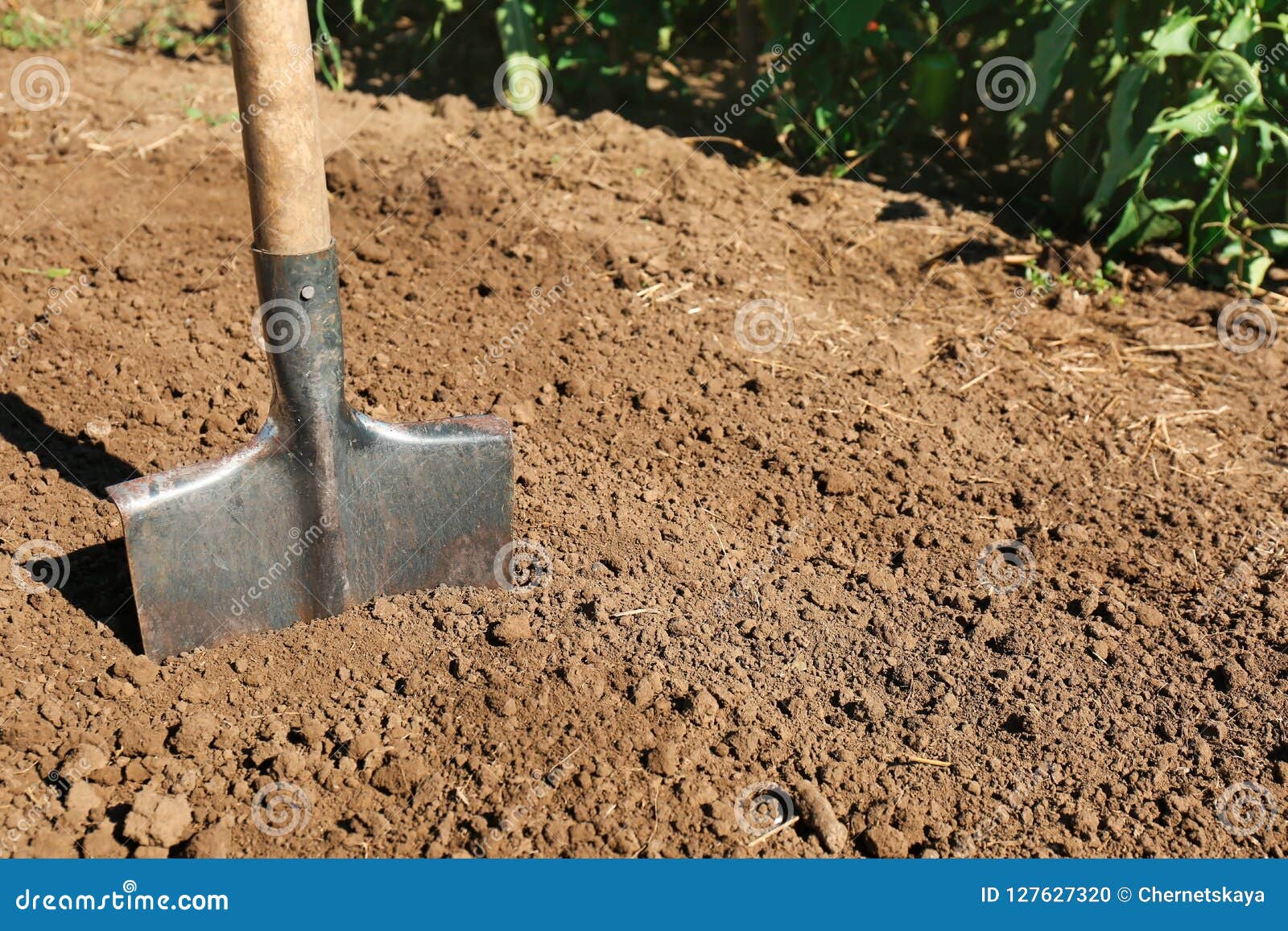 Metal La Pala En El Suelo, Espacio Para El Texto Foto de archivo ...
