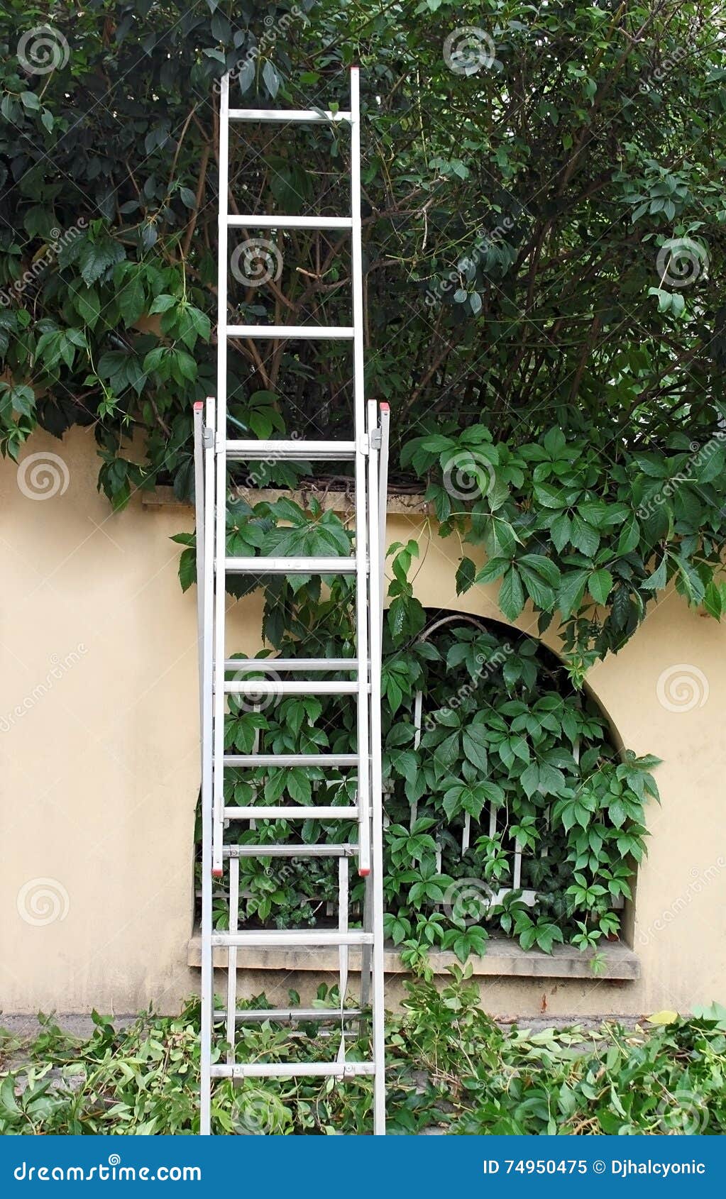 Metal ladder stock image. Image of spring, metal, garden - 74950475
