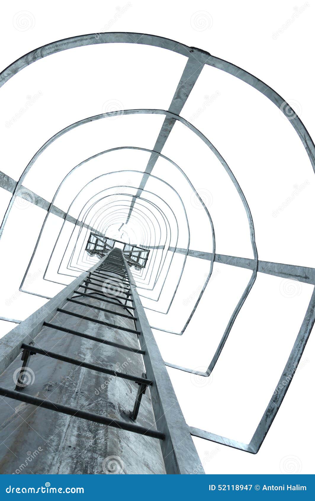 Bottom-up Ladder In Yellow Leafed Apple Tree Stock Photography ...