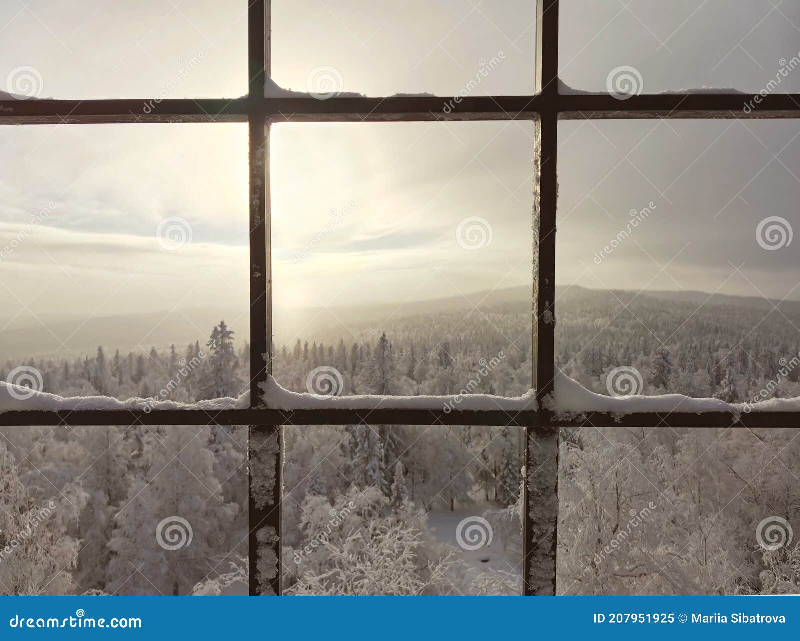 Metal Lattice Behind Which the Forest is Visible. the Concept of ...