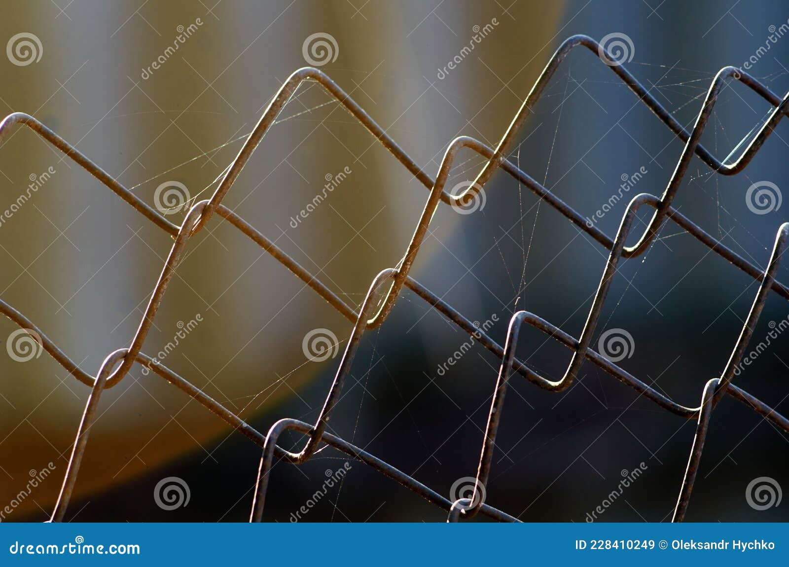 Metal Mesh Fence with Cobweb Stock Image - Image of metal, design ...