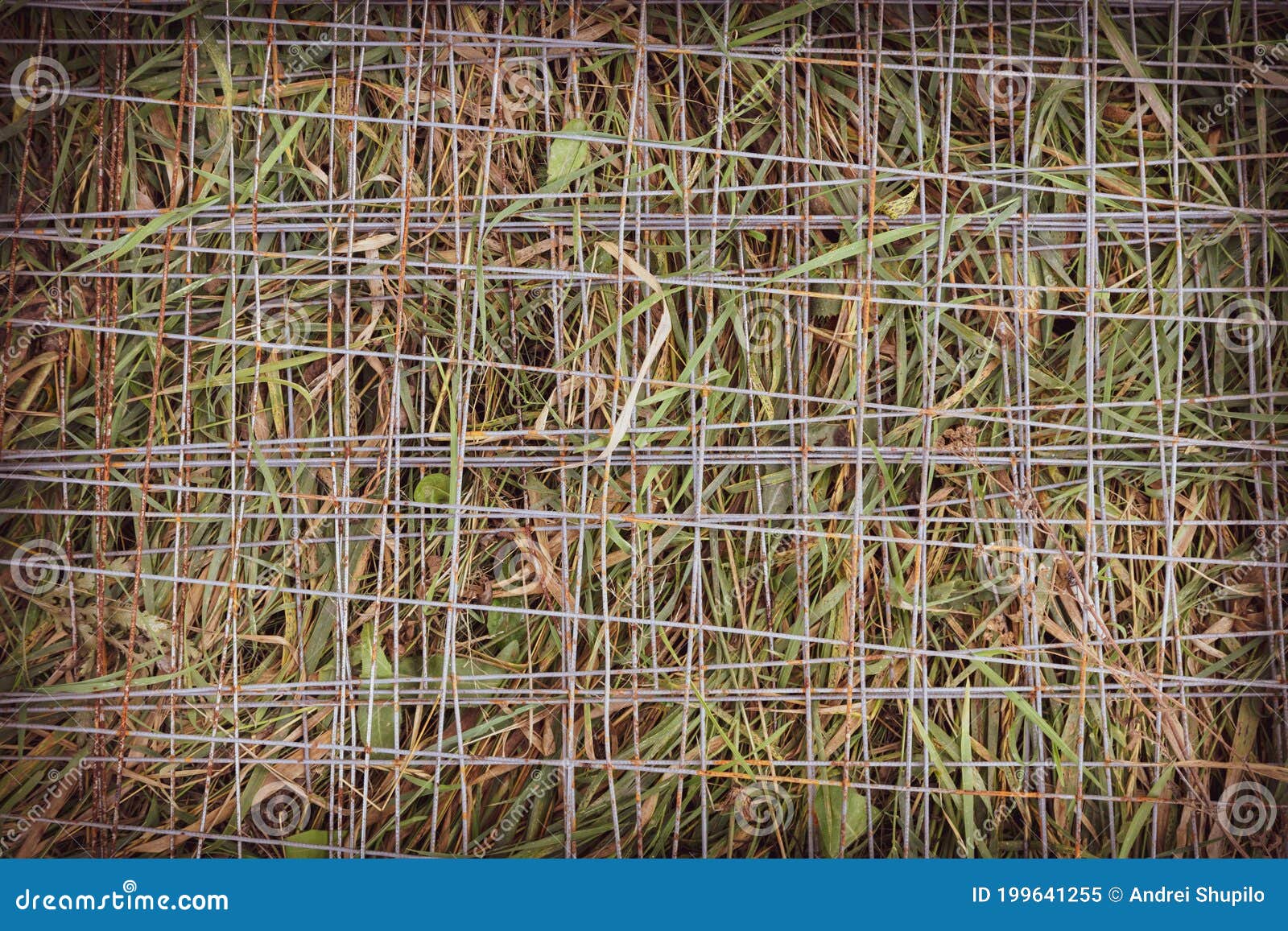 Metal Mesh on the Grass As a Background Stock Image - Image of lawn ...