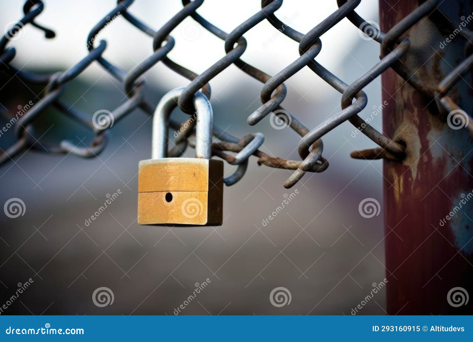 Metal Padlock on a Chain-link Fence Stock Image - Image of safety ...