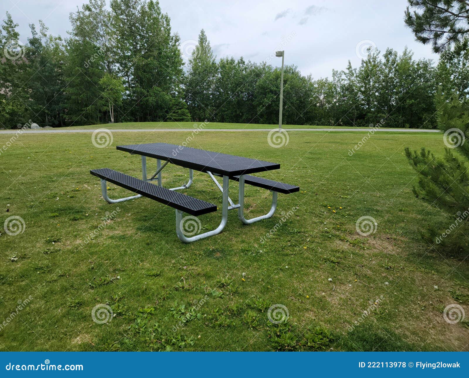 Metal Picnic Table at the Park Stock Photo - Image of lawn, meadow ...