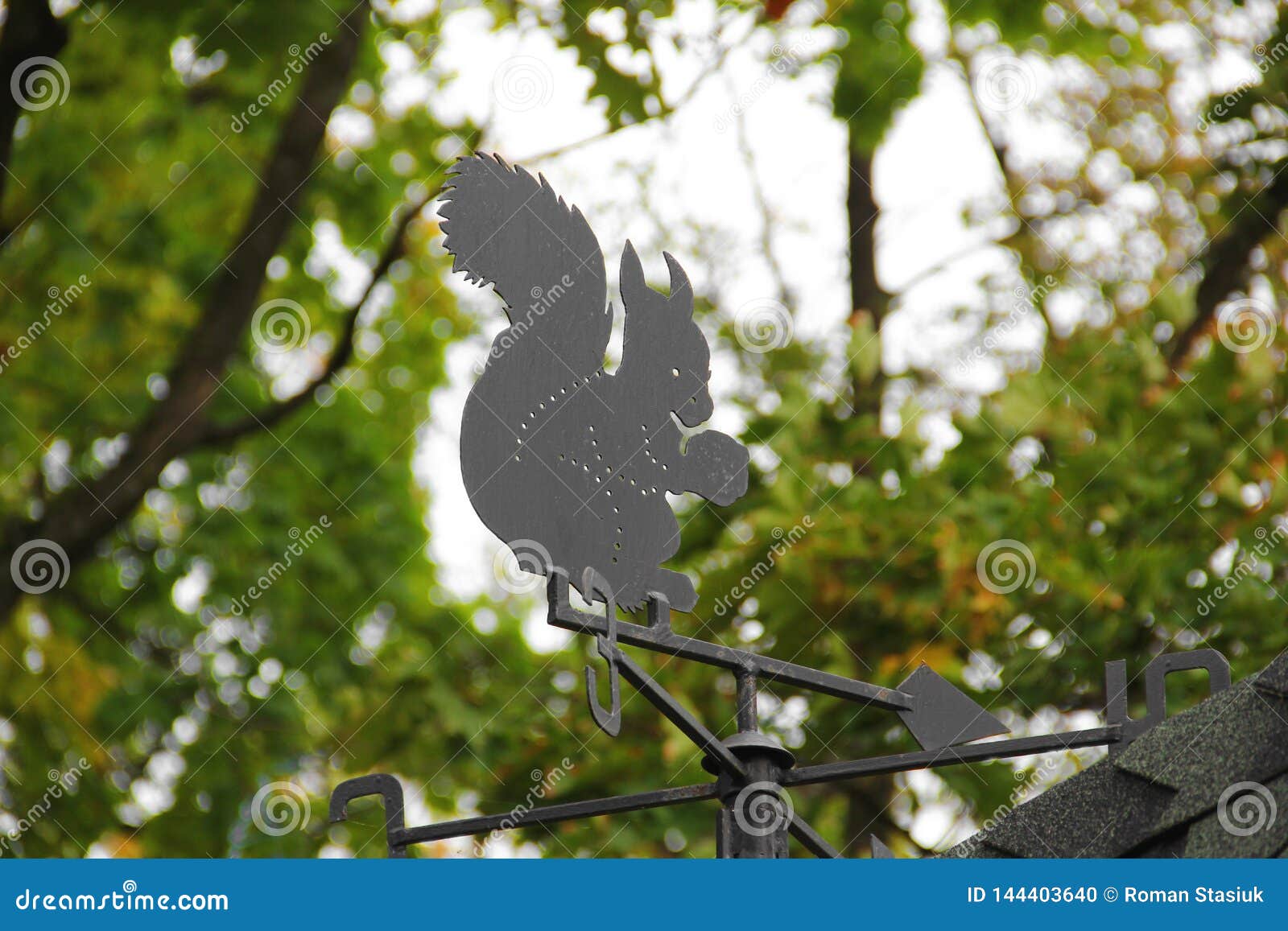 Windsock in the Form of Squirrel. Autumn Park Stock Photo - Image of ...