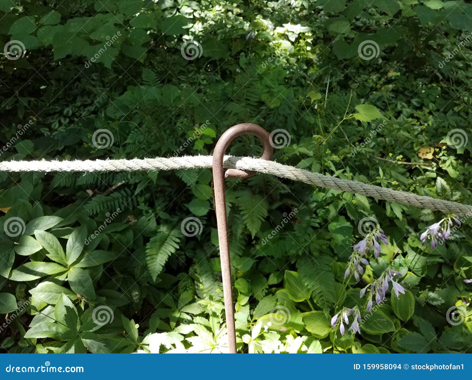 Metal Pole with Hook or Loop and Rope and Plants Stock Photo - Image of ...