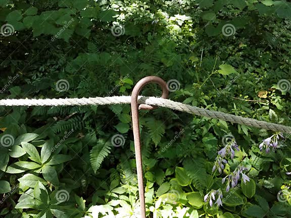Metal Pole with Hook or Loop and Rope and Plants Stock Photo - Image of ...